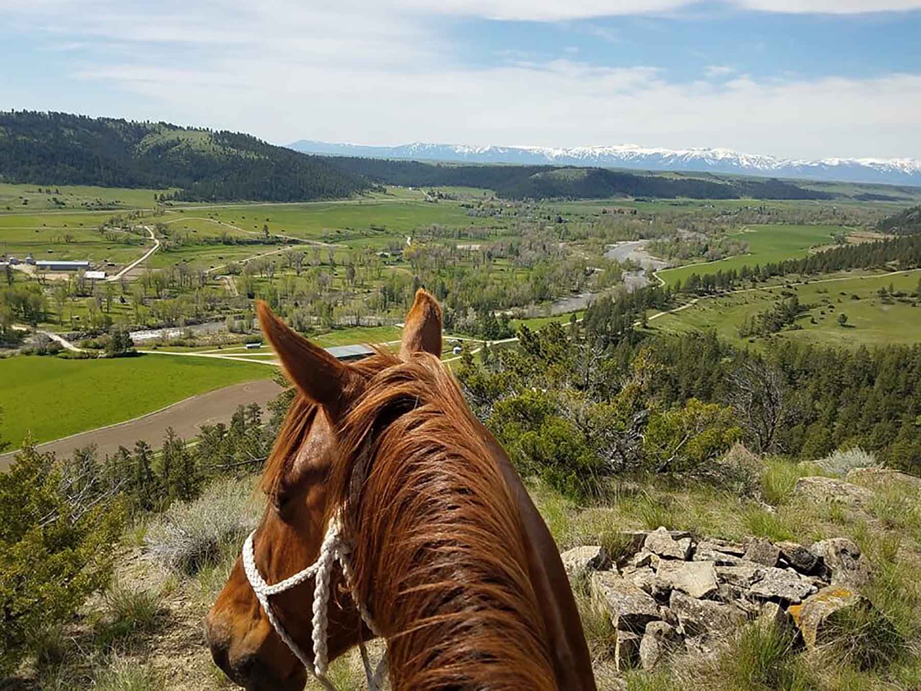 Beartooth Ranch - Sold - Montana - Hall and Hall
