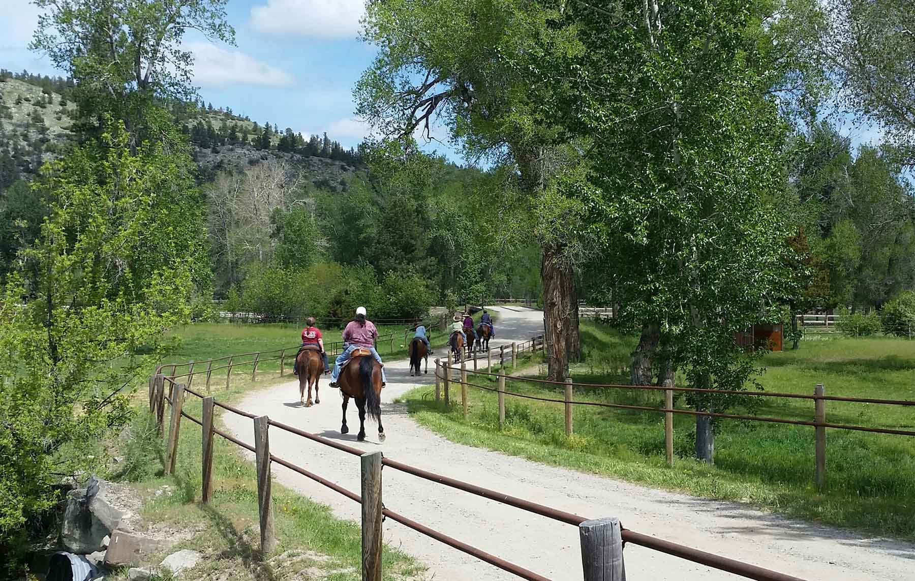 Beartooth Ranch - Sold - Montana - Hall and Hall