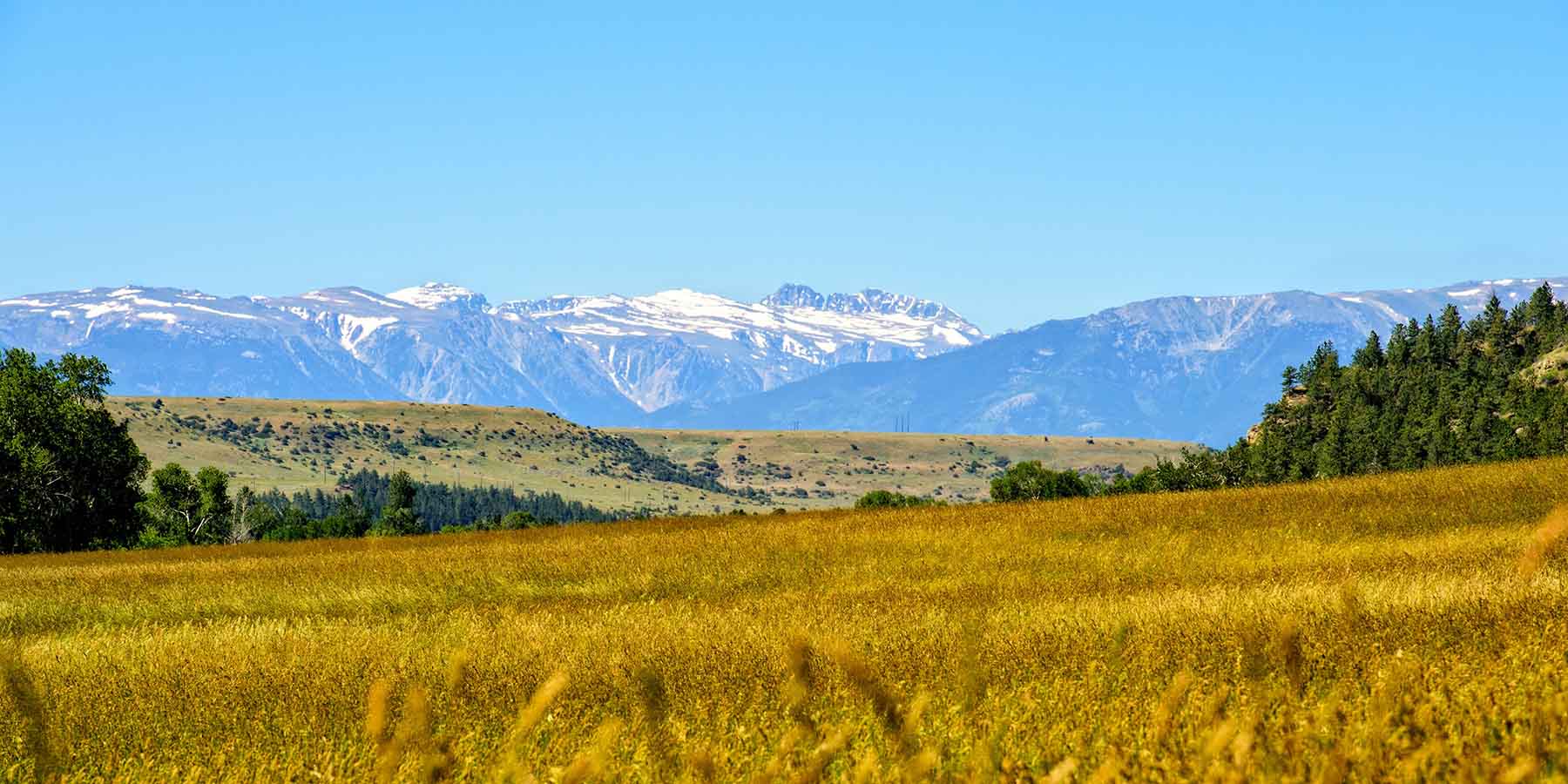 Beartooth Ranch - Sold - Montana - Hall and Hall