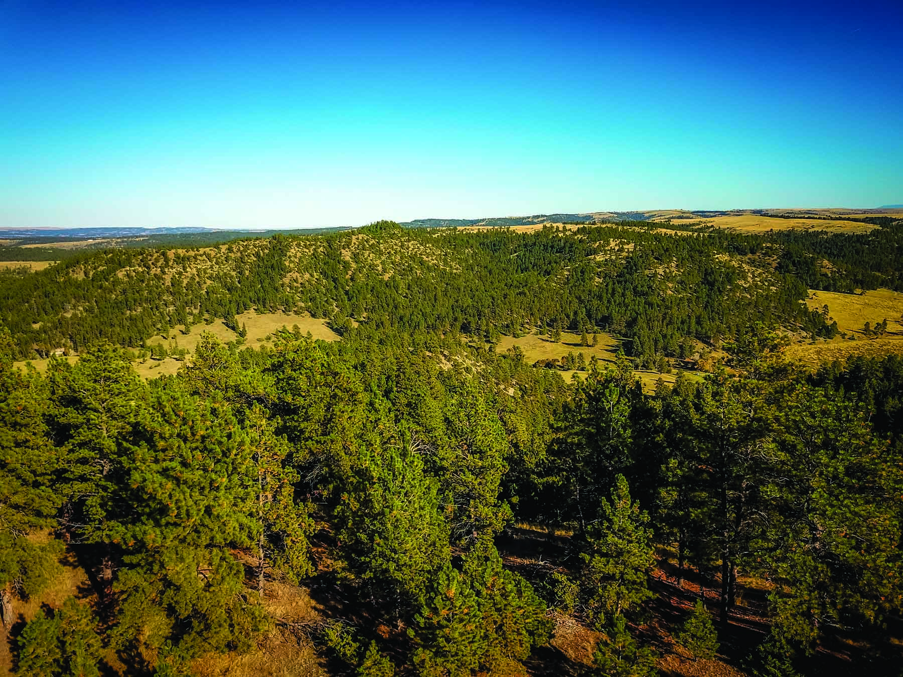 Beartooth Ranch - Sold - Montana - Hall and Hall