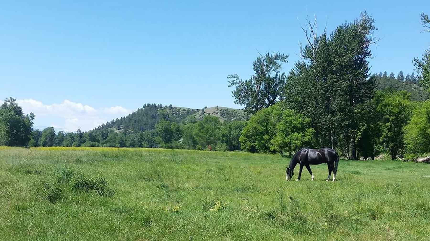 Beartooth Ranch - Sold - Montana - Hall and Hall