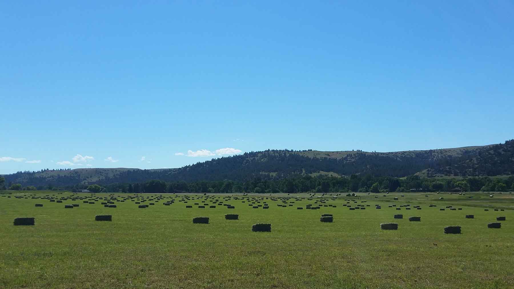 Beartooth Ranch - Sold - Montana - Hall and Hall