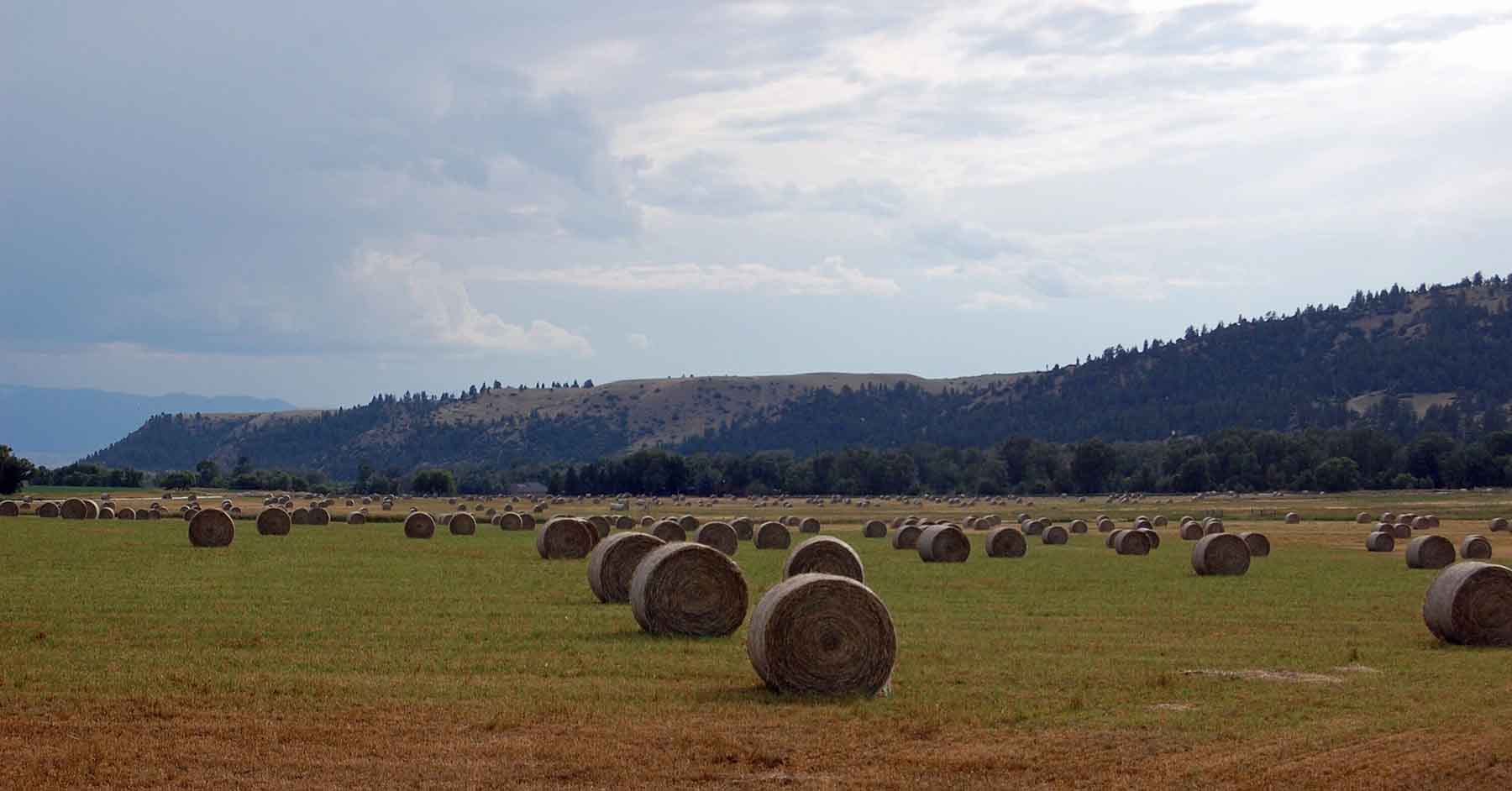 Beartooth Ranch - Sold - Montana - Hall and Hall