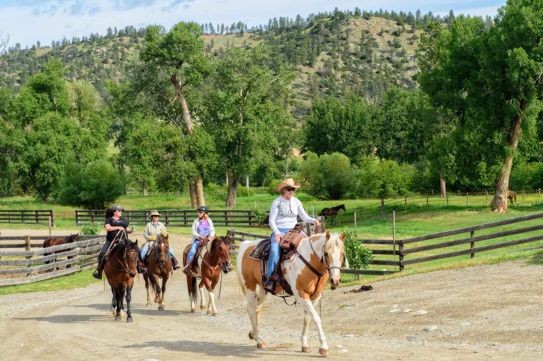 Beartooth Ranch - Sold - Montana - Hall and Hall