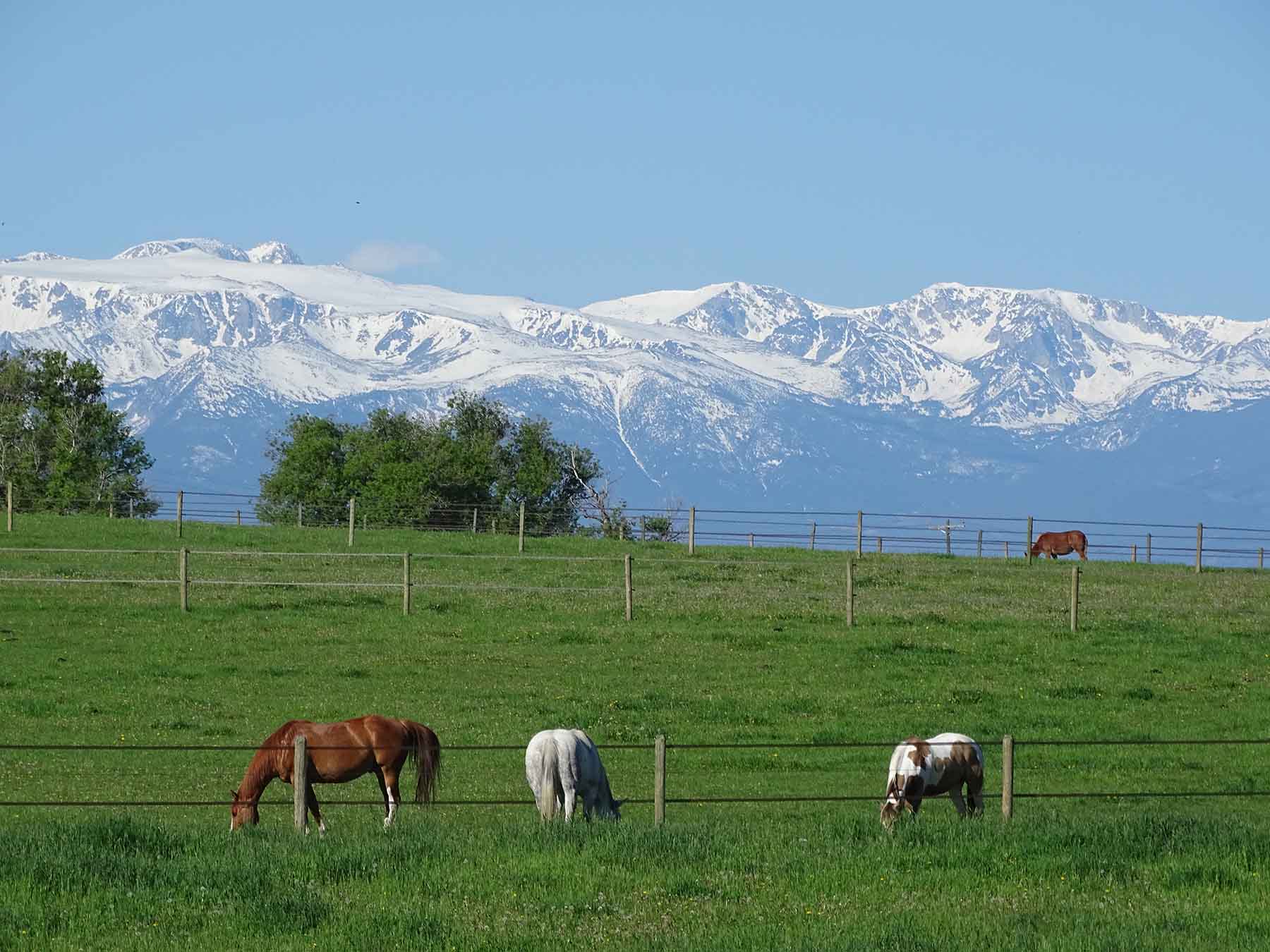 Beartooth Ranch - Sold - Montana - Hall and Hall