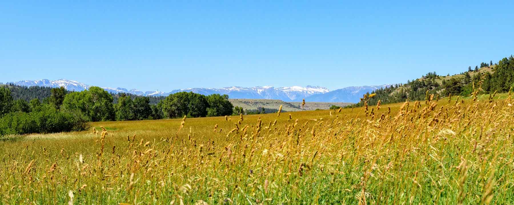 Beartooth Ranch - Sold - Montana - Hall and Hall