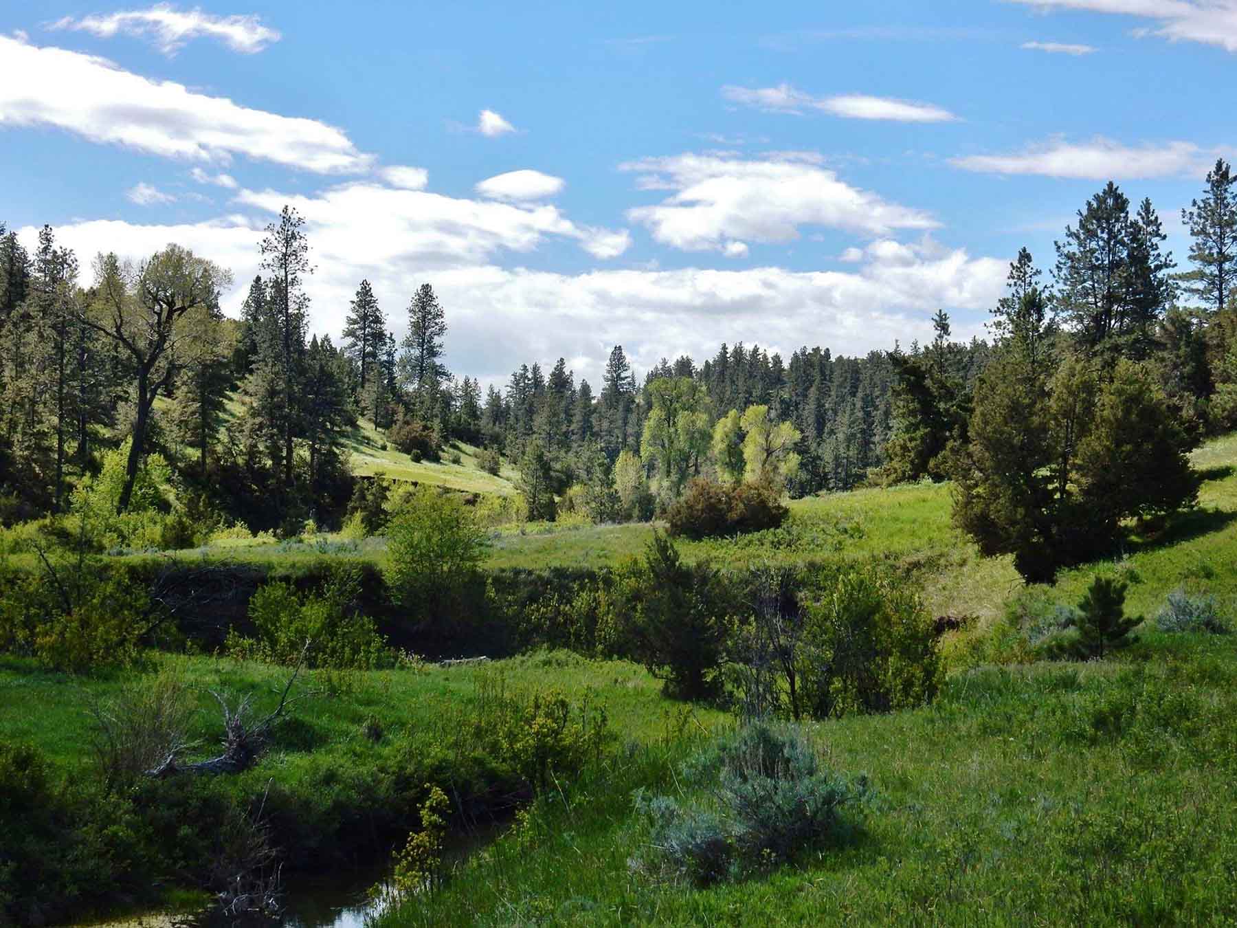 Beartooth Ranch - Sold - Montana - Hall and Hall