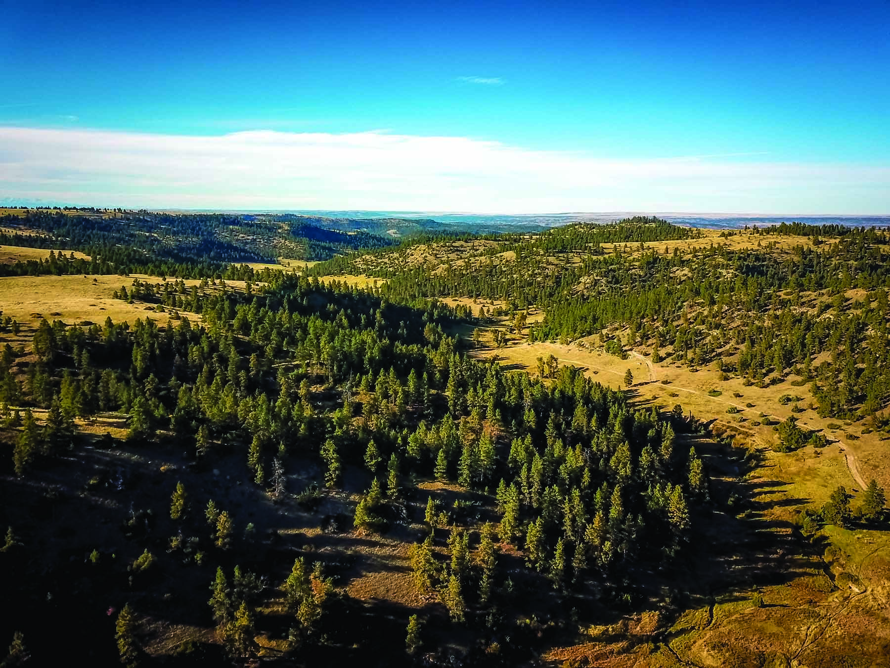 Beartooth Ranch - Sold - Montana - Hall and Hall