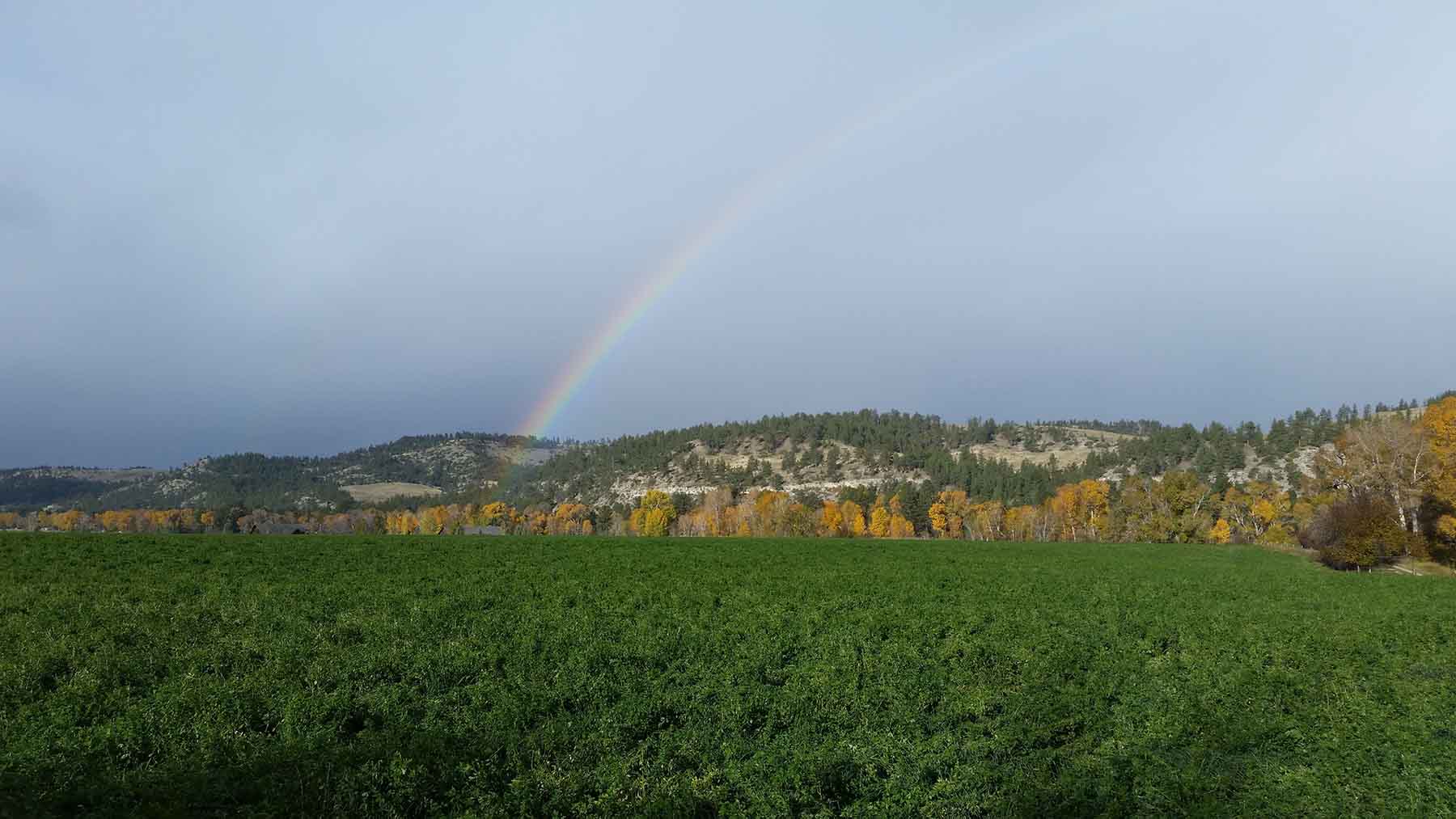 Beartooth Ranch - Sold - Montana - Hall and Hall