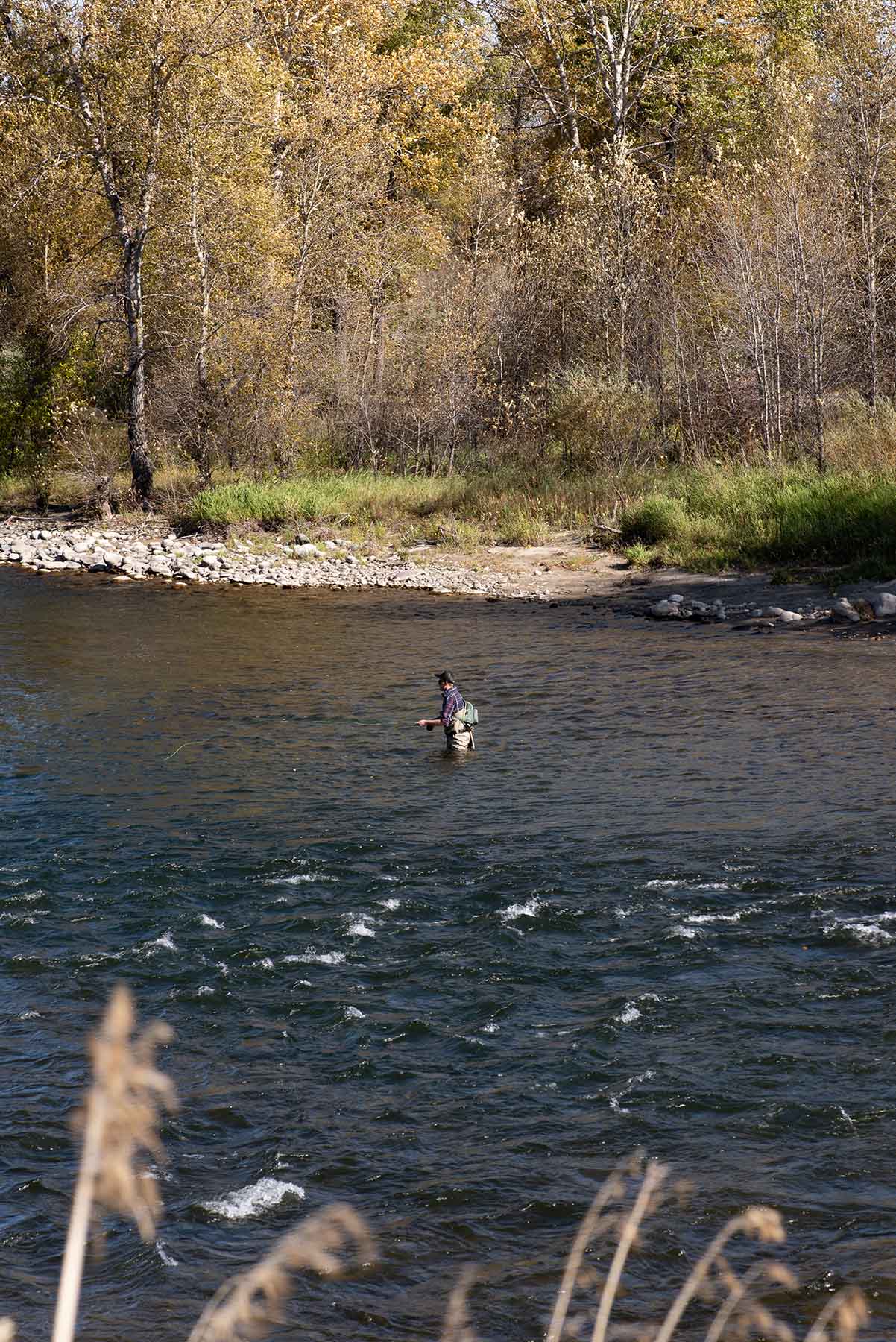 Beartooth Ranch - Sold - Montana - Hall and Hall