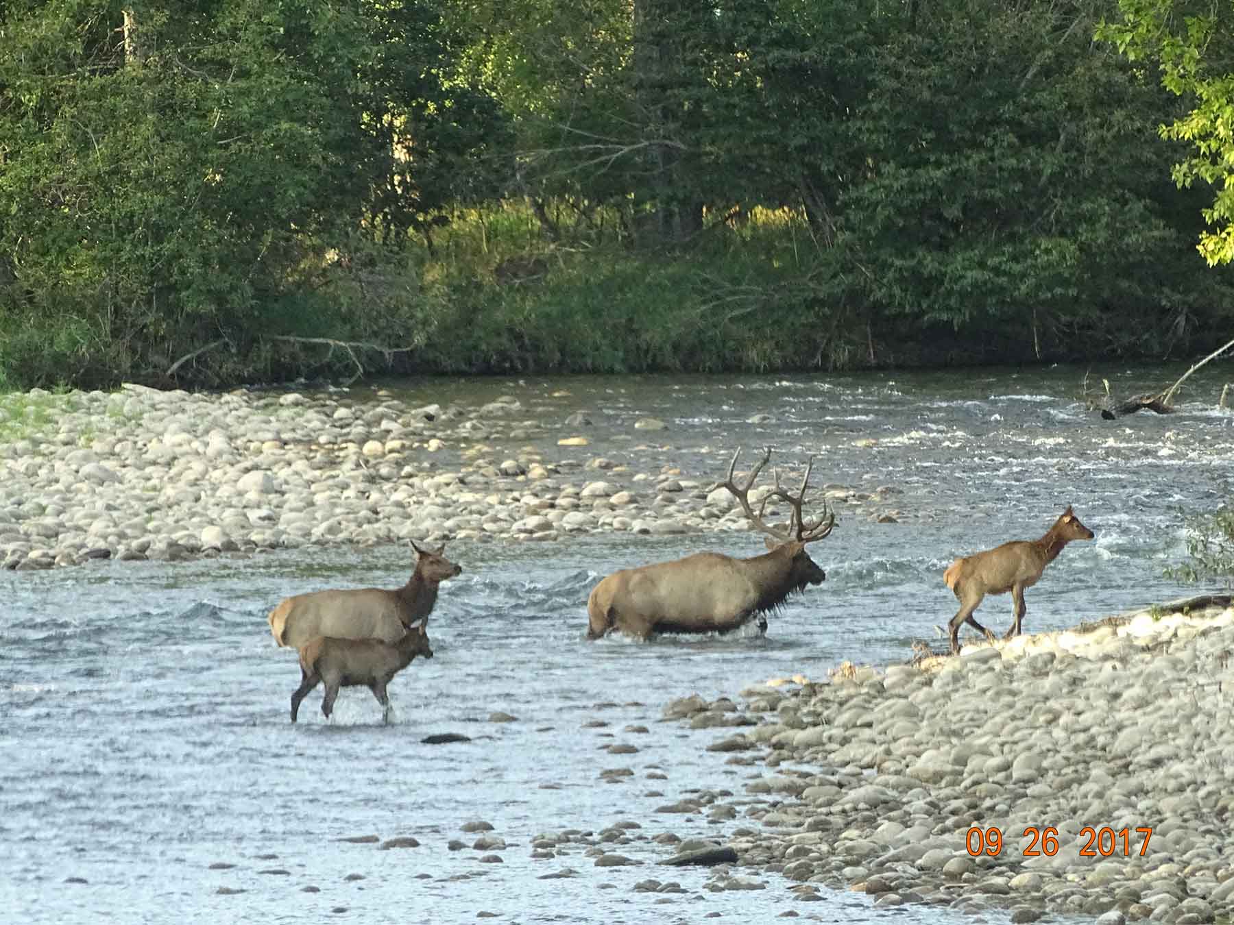 Beartooth Ranch - Sold - Montana - Hall and Hall