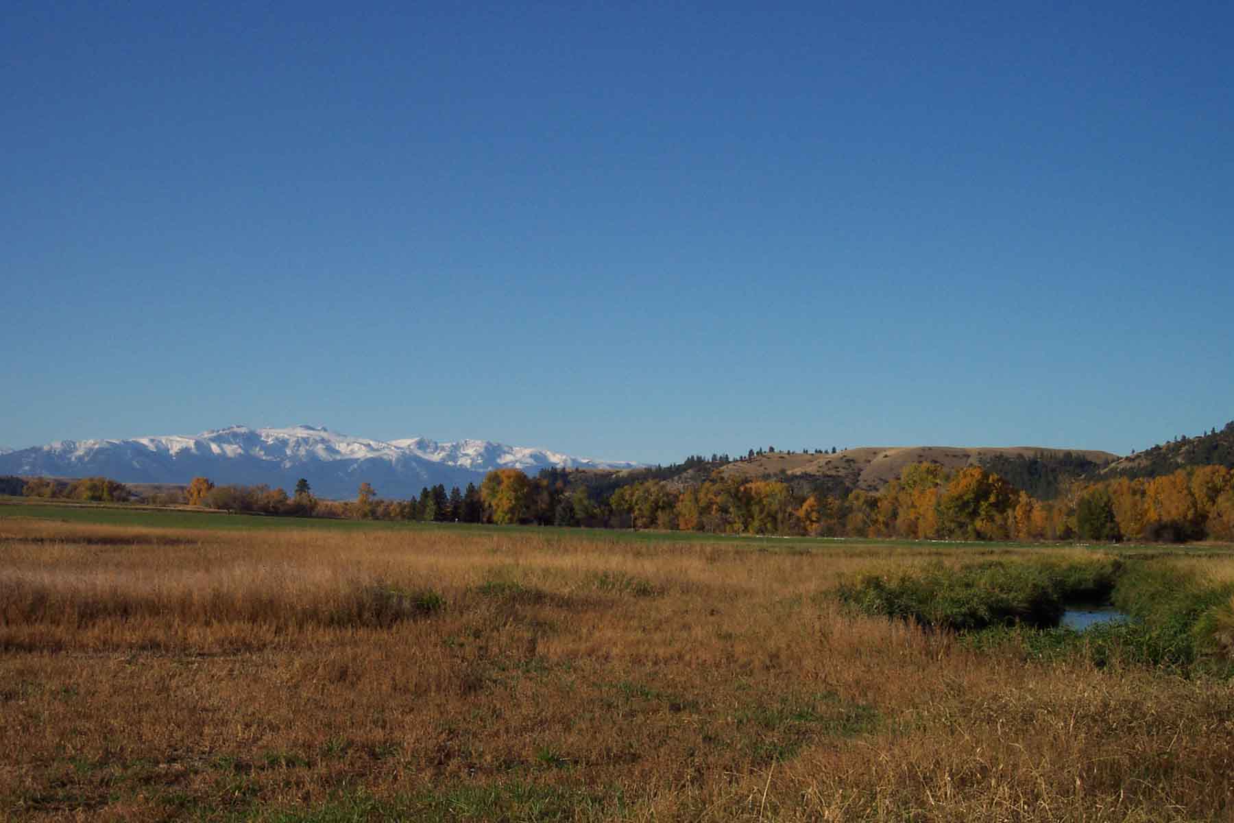 Beartooth Ranch - Sold - Montana - Hall and Hall