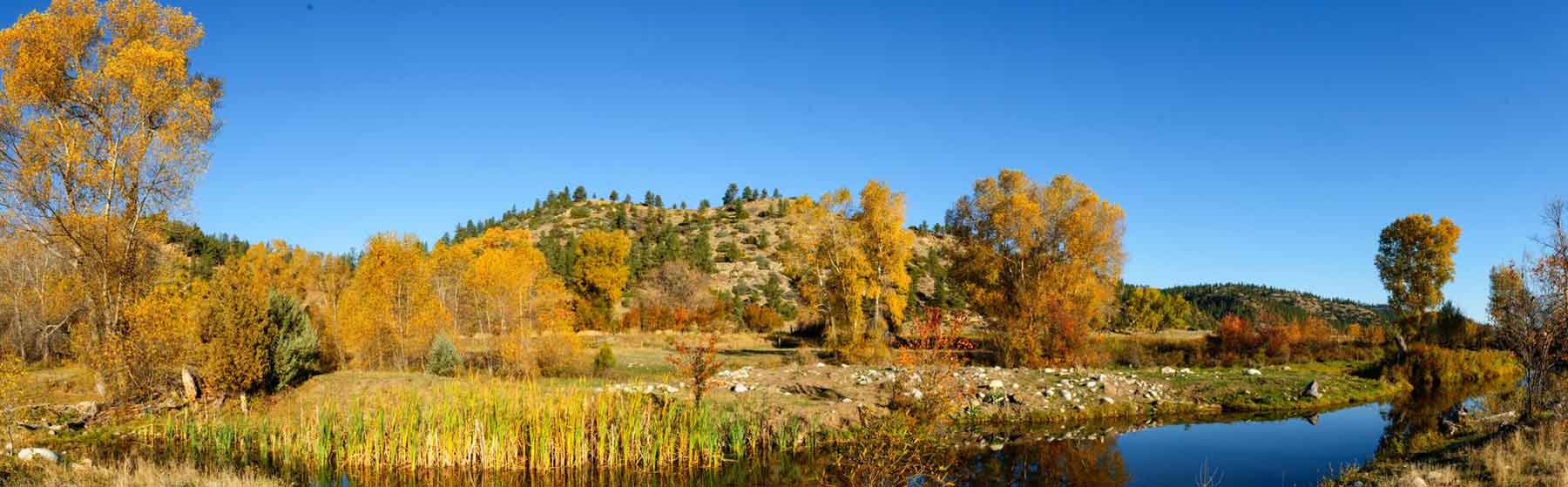 Beartooth Ranch - Sold - Montana - Hall and Hall