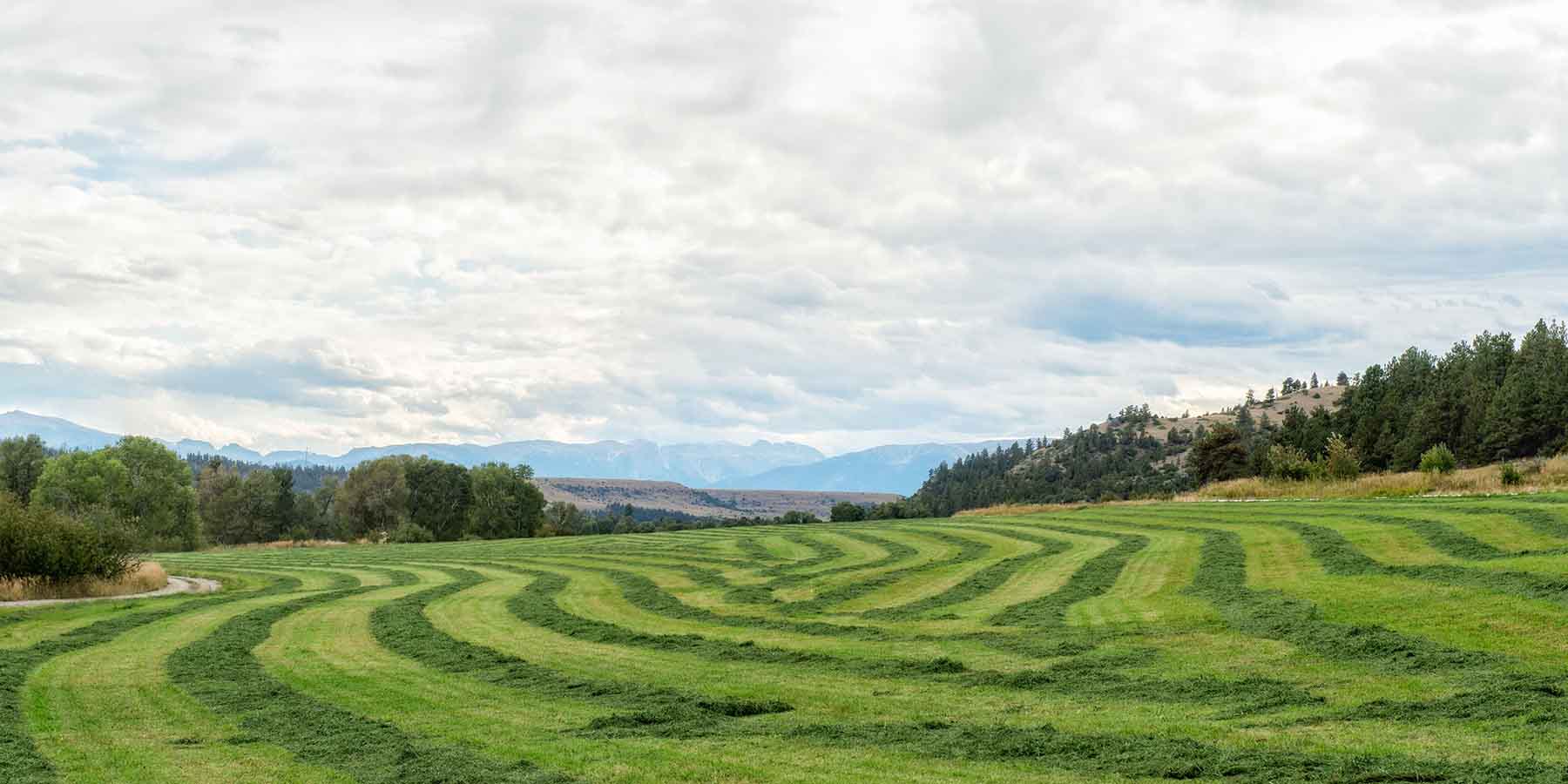 Beartooth Ranch - Sold - Montana - Hall and Hall