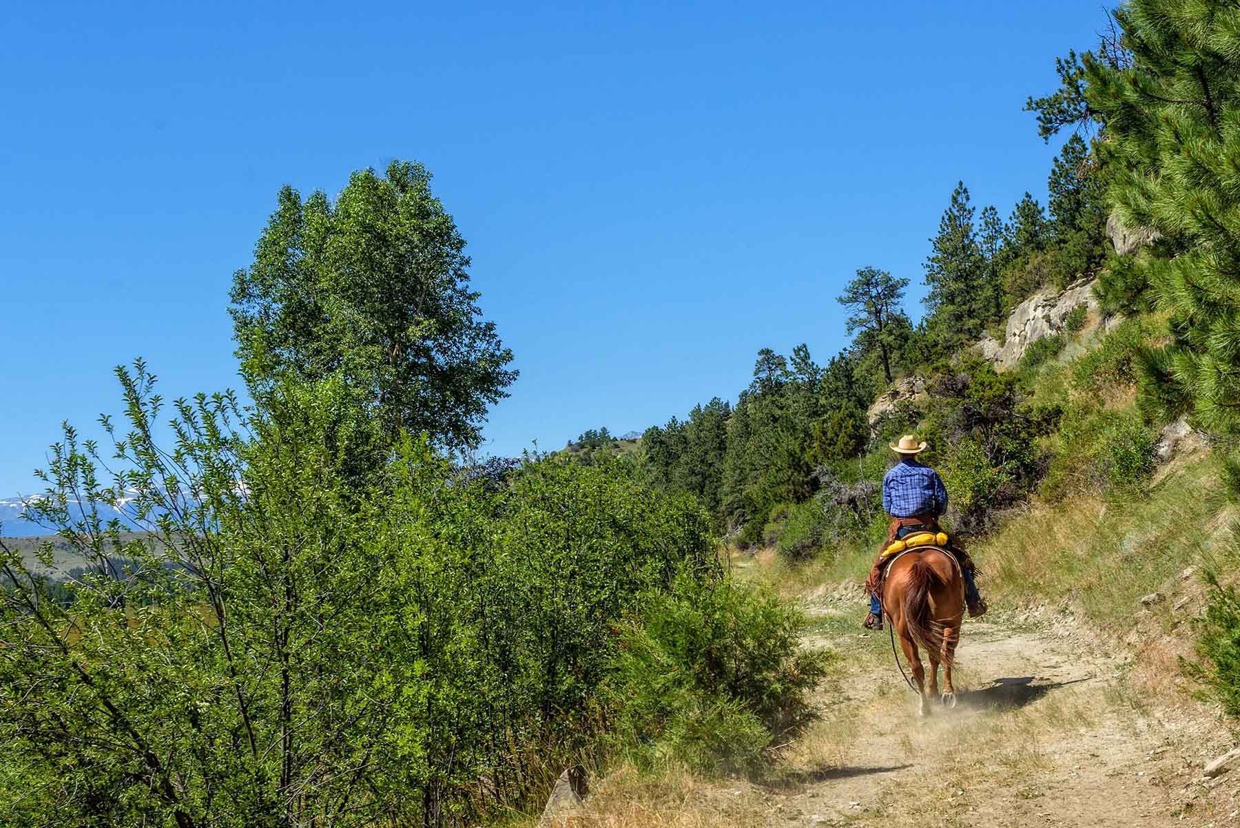 Beartooth Ranch - Sold - Montana - Hall and Hall