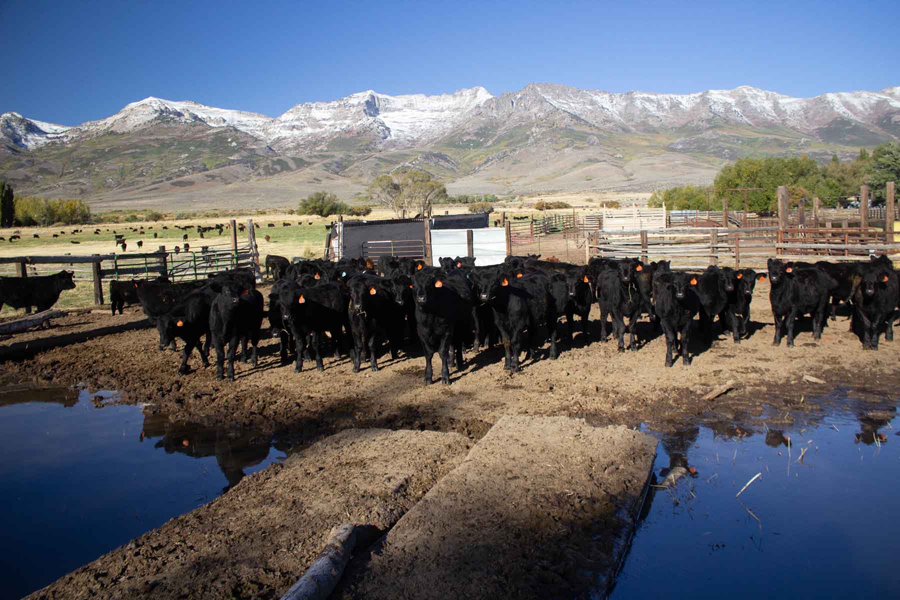 Clover Valley Ranch - Sold - Nevada - Hall and Hall