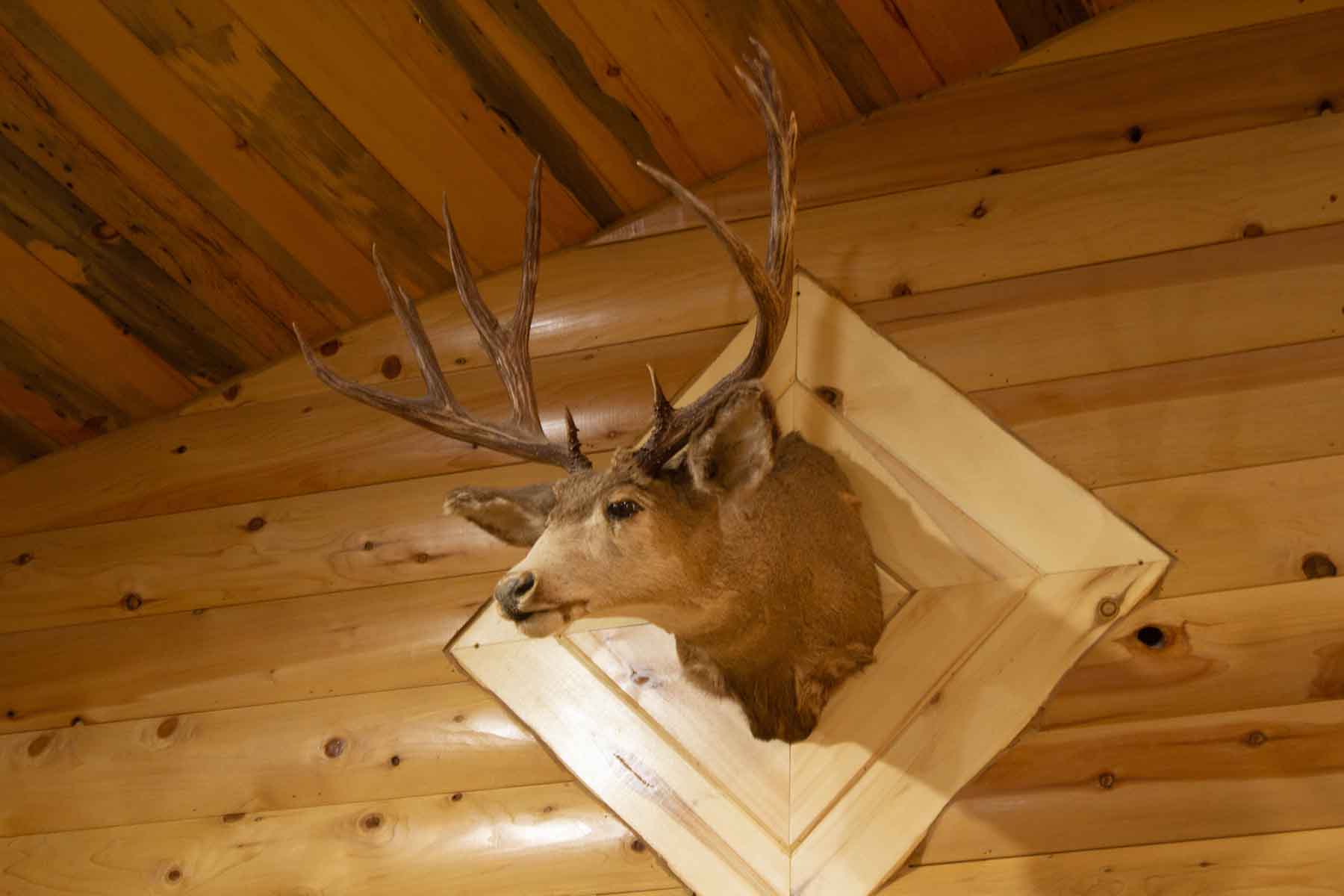 Clover Valley Ranch - Sold - Nevada - Hall and Hall