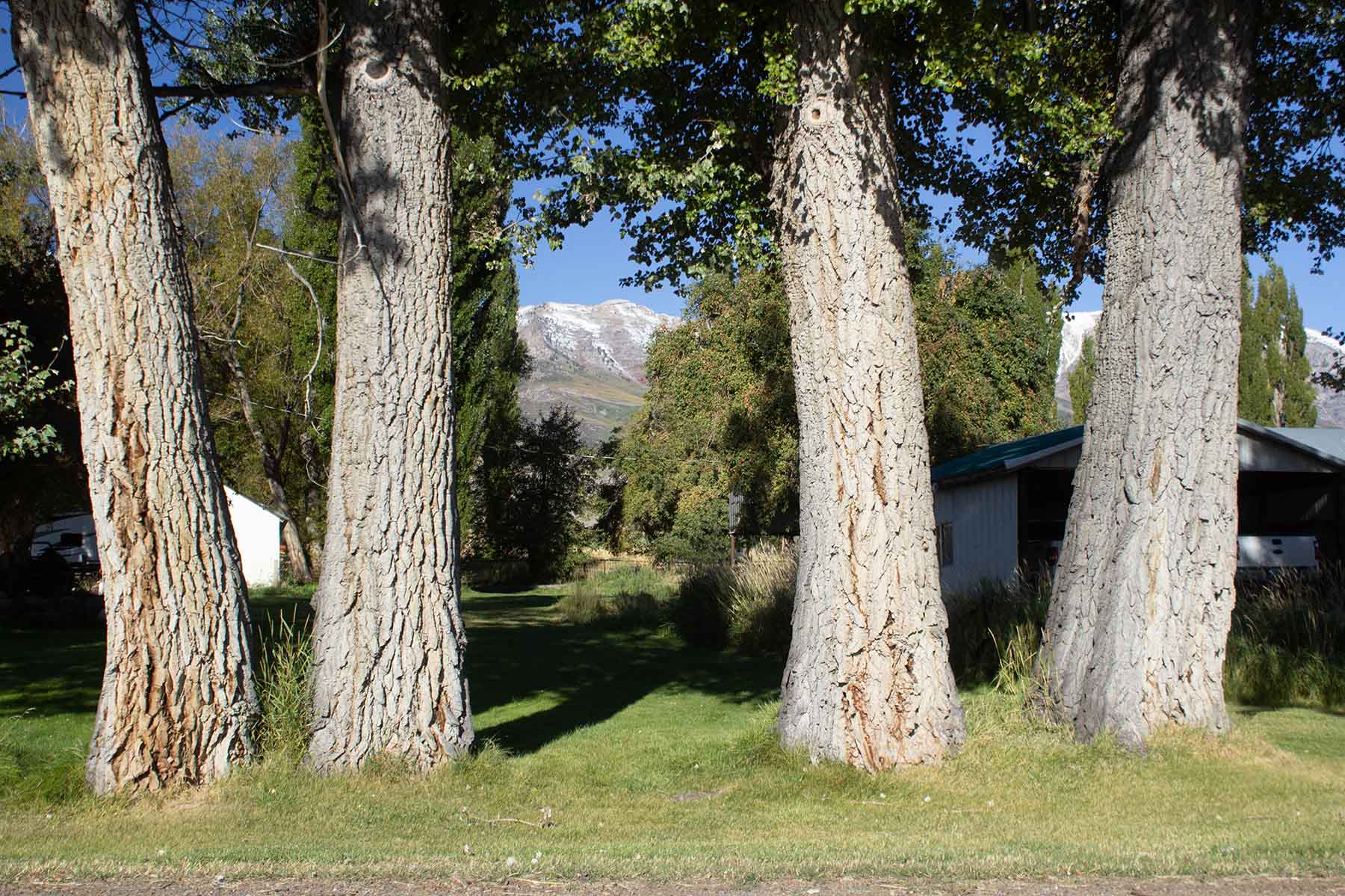 Clover Valley Ranch - Sold - Nevada - Hall and Hall