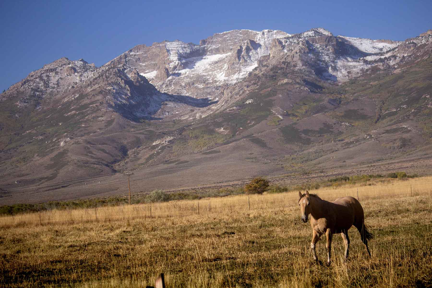 Clover Valley Ranch - Sold - Nevada - Hall and Hall