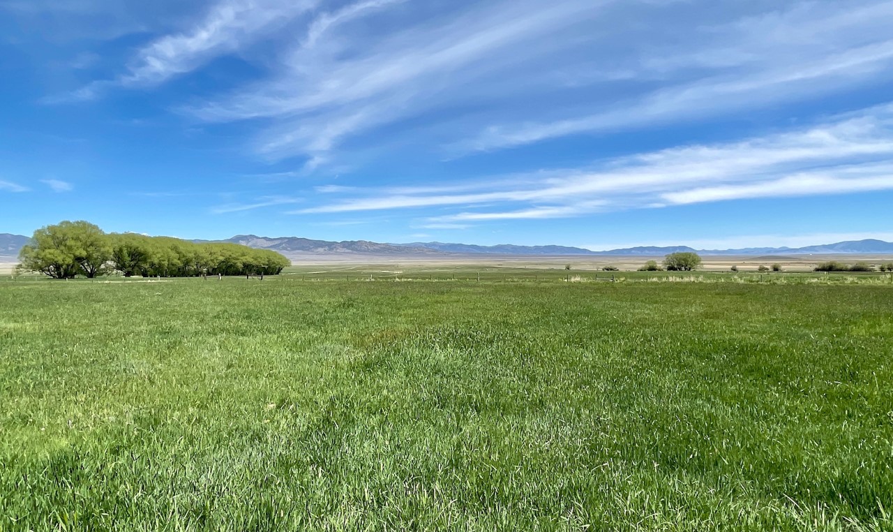 Clover Valley Ranch - Sold - Nevada - Hall and Hall