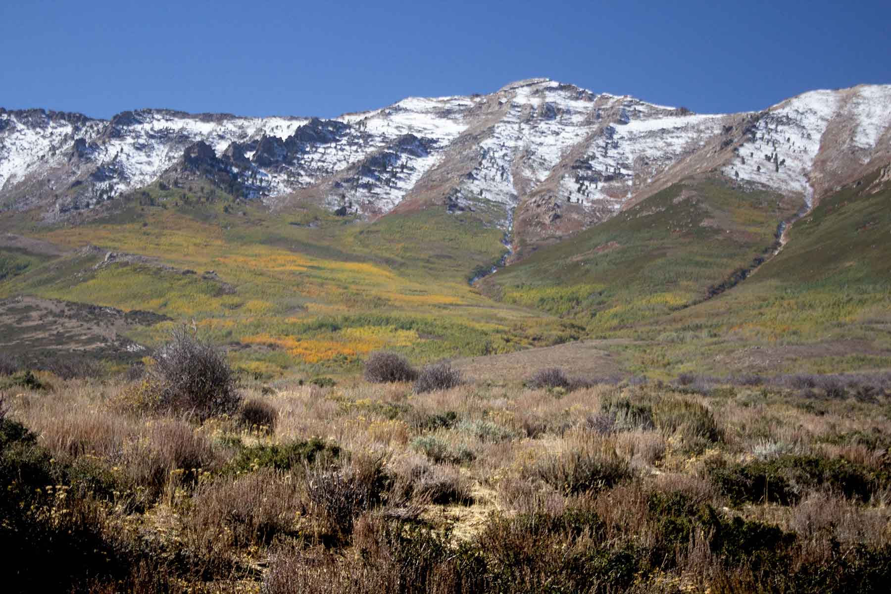 Clover Valley Ranch - Sold - Nevada - Hall and Hall