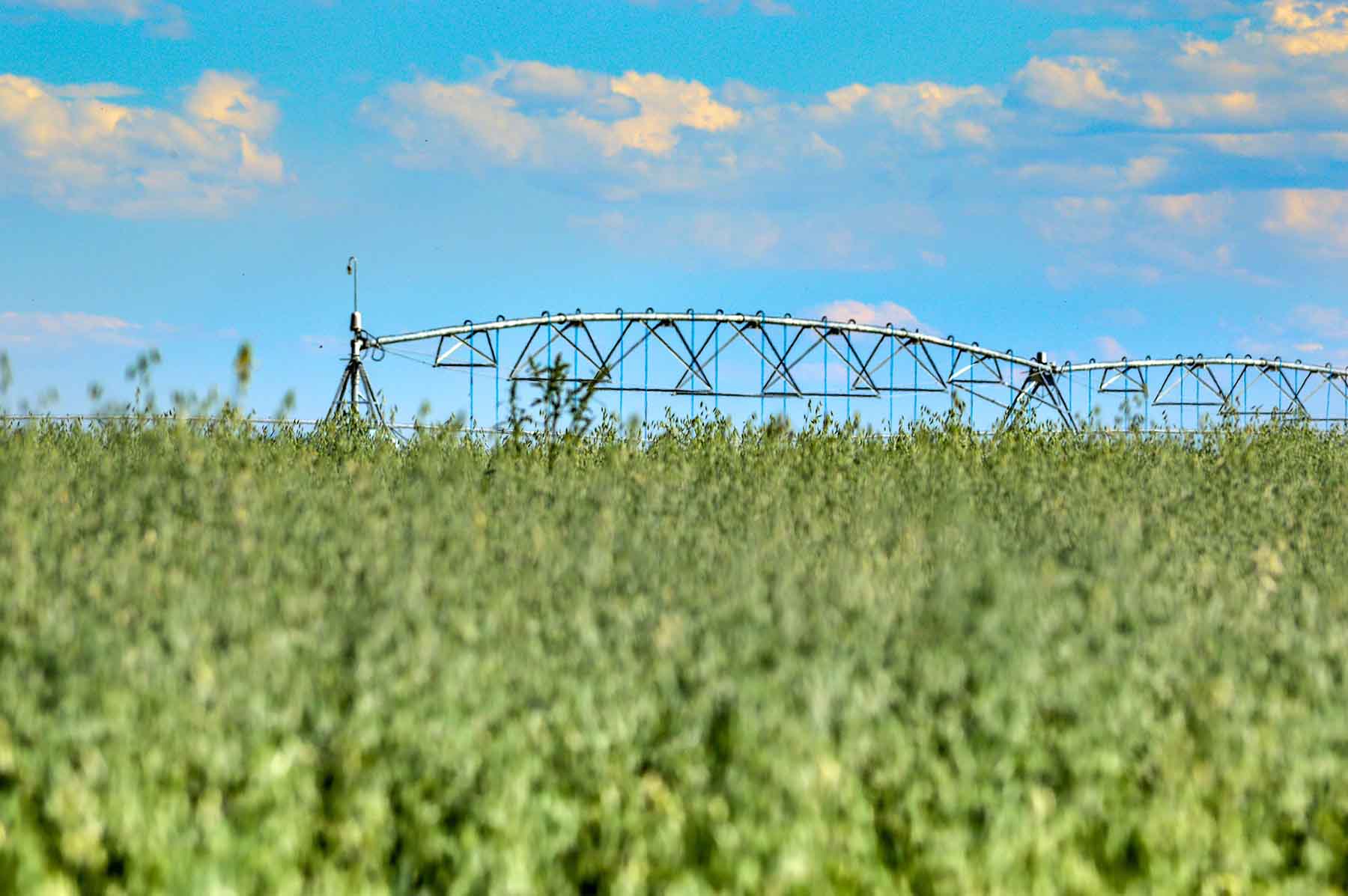 Clover Valley Ranch - Sold - Nevada - Hall and Hall