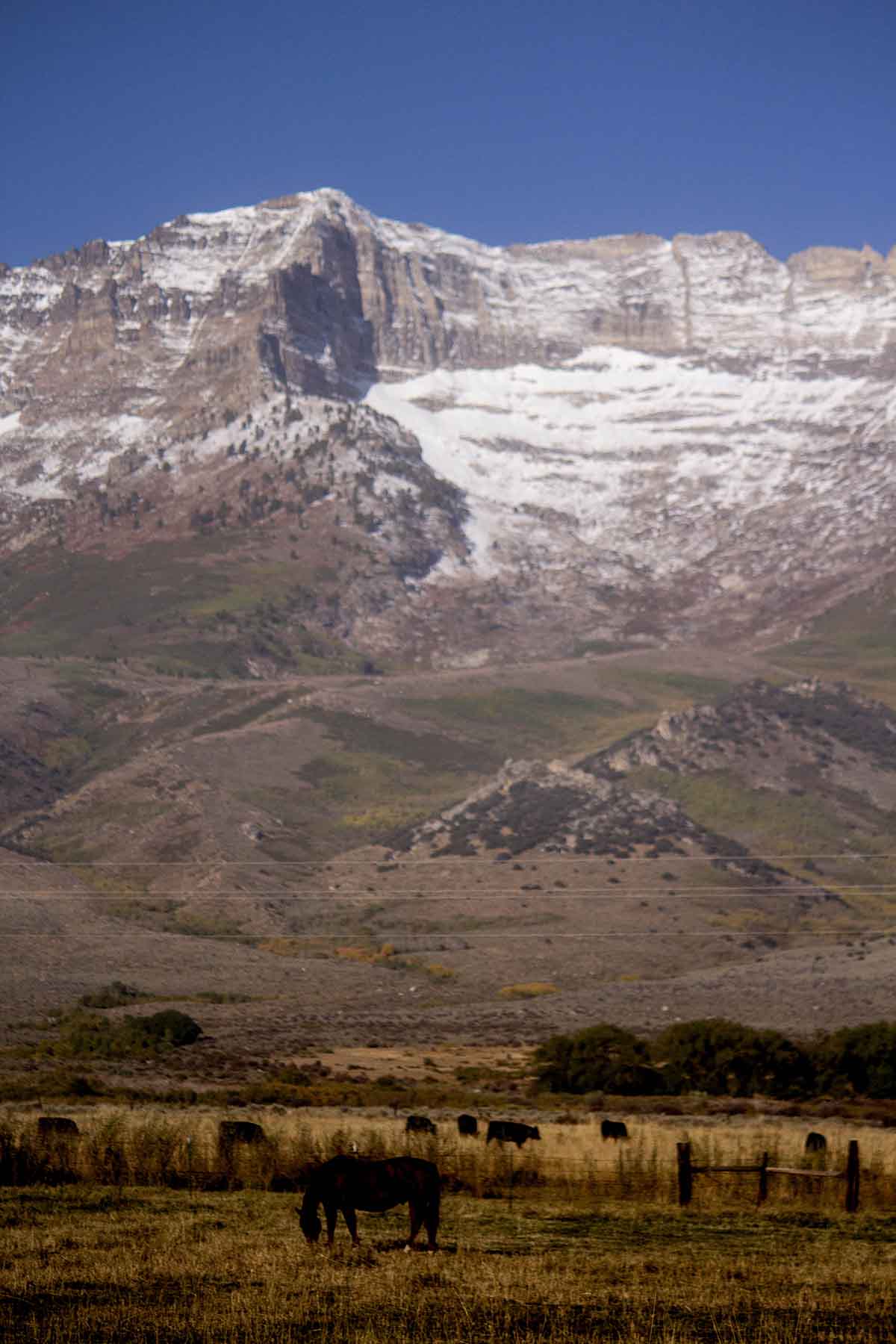 Clover Valley Ranch - Sold - Nevada - Hall and Hall