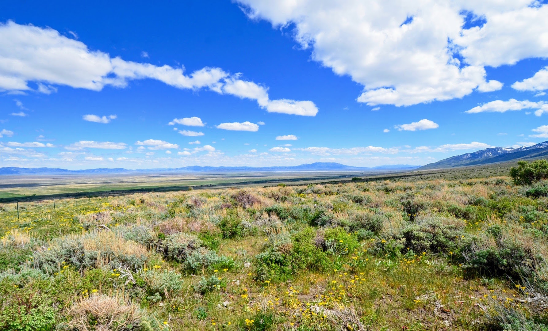 Clover Valley Ranch - Sold - Nevada - Hall and Hall