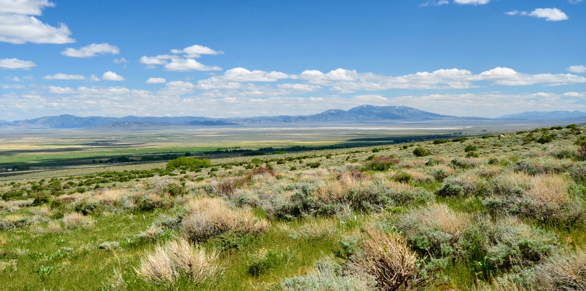 Clover Valley Ranch - Sold - Nevada - Hall and Hall