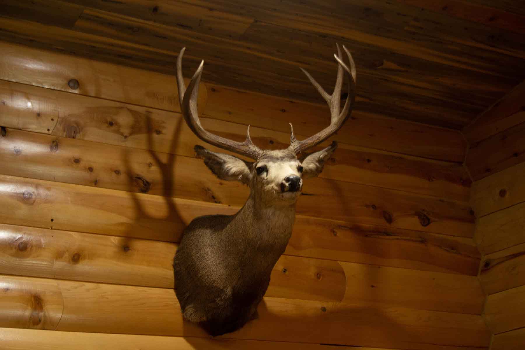 Clover Valley Ranch - Sold - Nevada - Hall and Hall