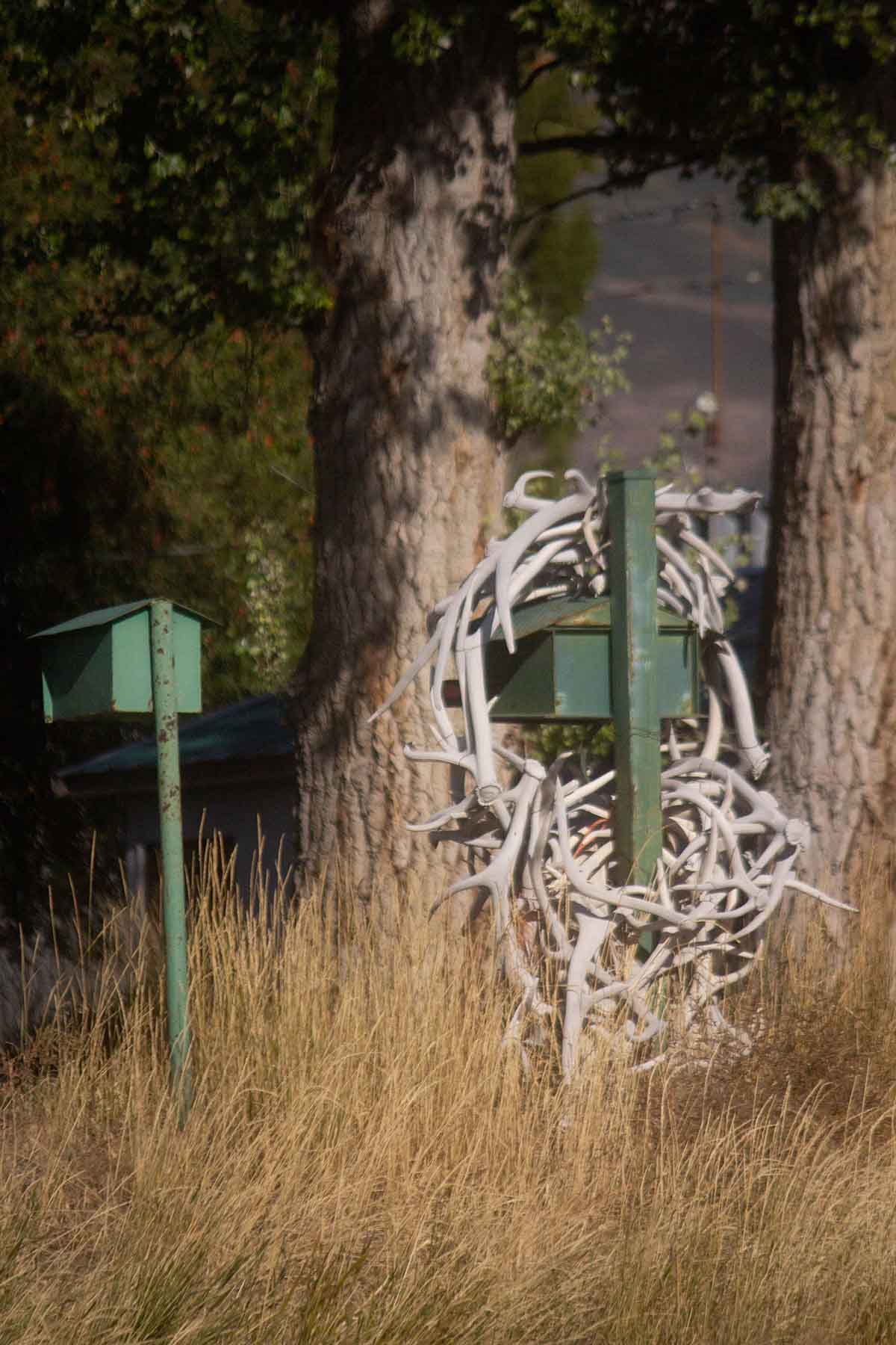 Clover Valley Ranch - Sold - Nevada - Hall and Hall