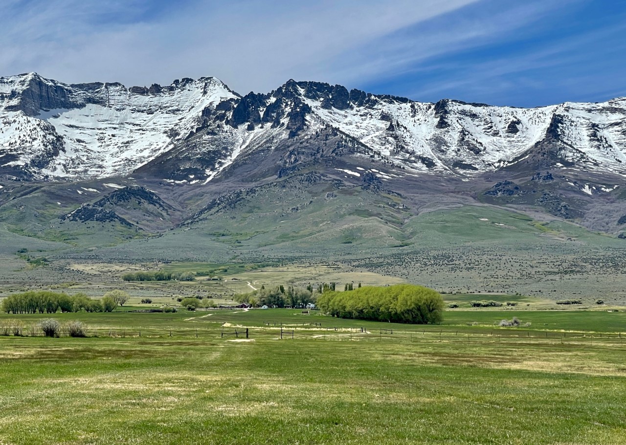 Clover Valley Ranch - Sold - Nevada - Hall and Hall