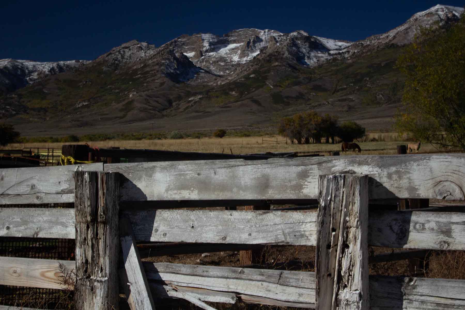 Clover Valley Ranch - Sold - Nevada - Hall and Hall