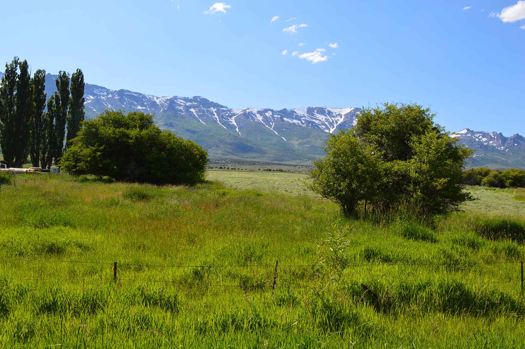 Clover Valley Ranch - Sold - Nevada - Hall and Hall