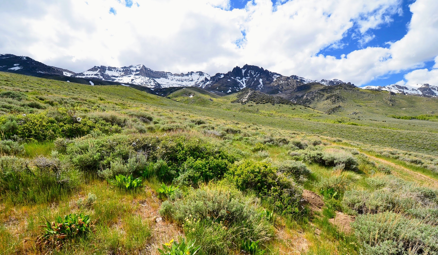 Clover Valley Ranch - Sold - Nevada - Hall and Hall