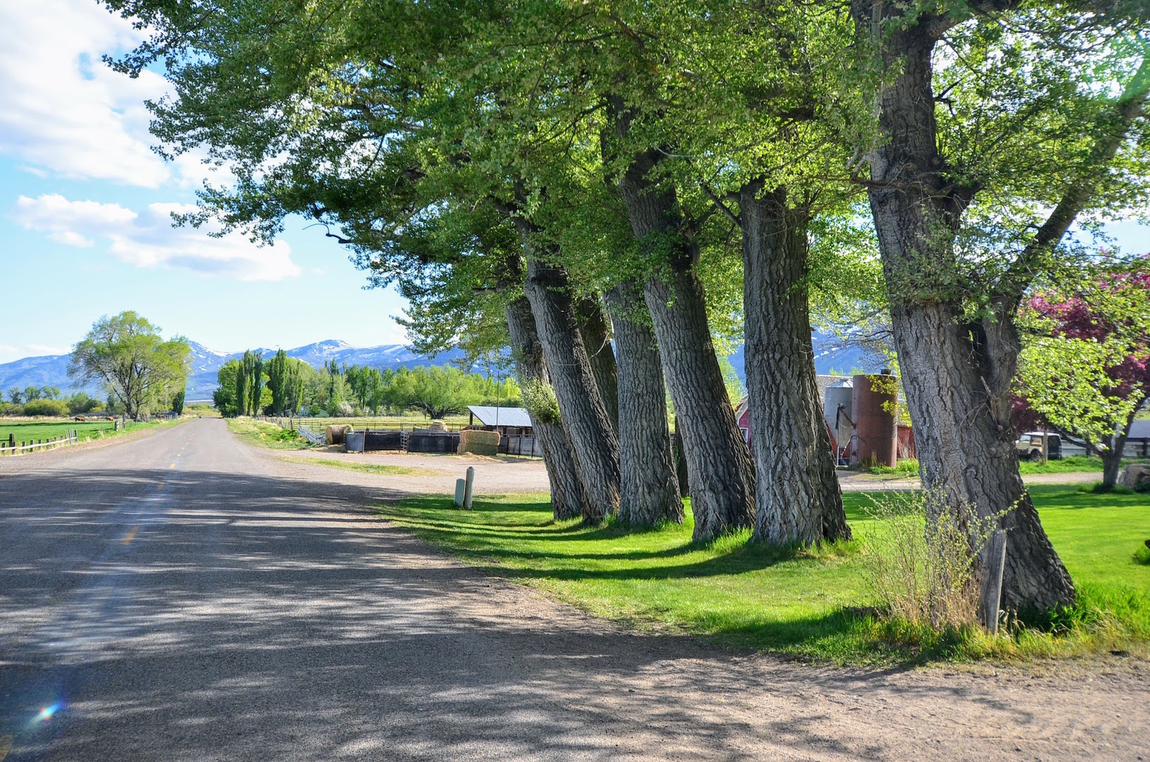 Clover Valley Ranch - Sold - Nevada - Hall and Hall