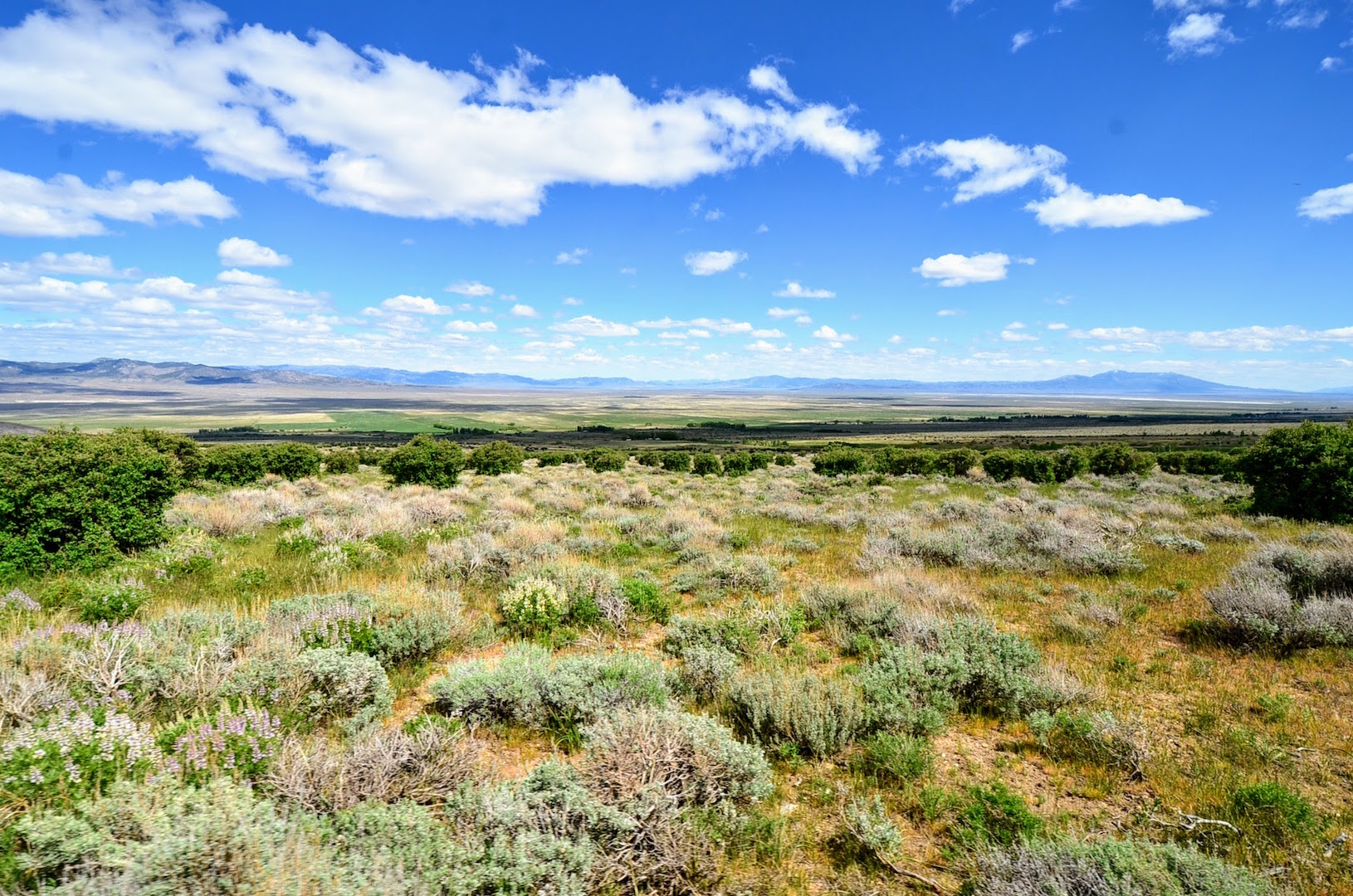 Clover Valley Ranch - Sold - Nevada - Hall and Hall