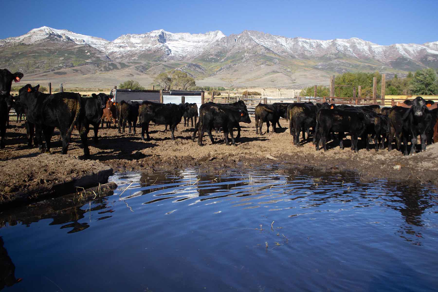 Clover Valley Ranch - Sold - Nevada - Hall and Hall