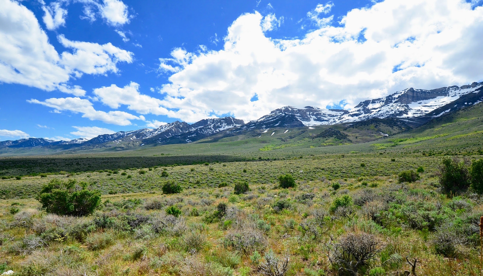 Clover Valley Ranch - Sold - Nevada - Hall and Hall