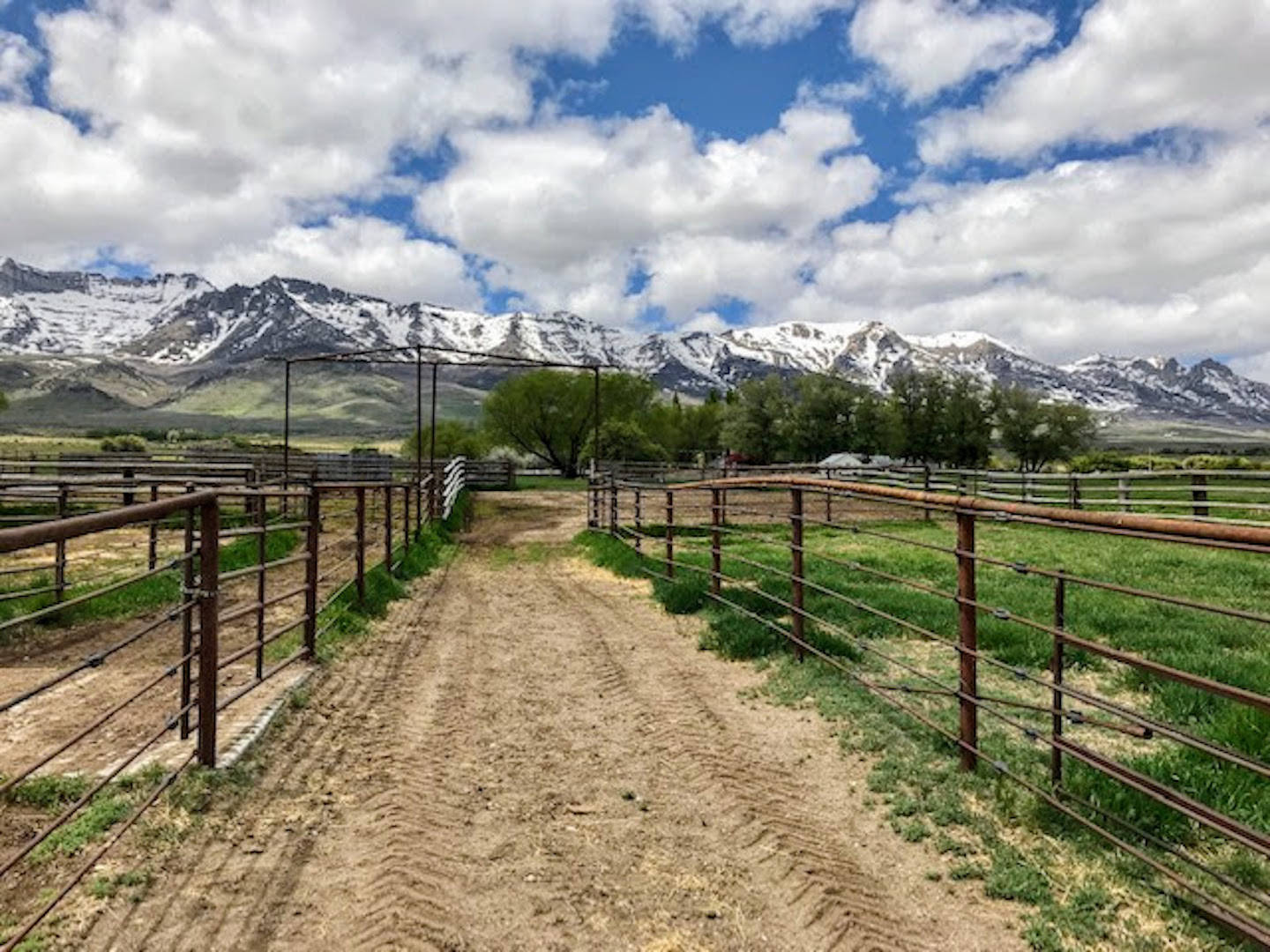 Clover Valley Ranch - Sold - Nevada - Hall and Hall