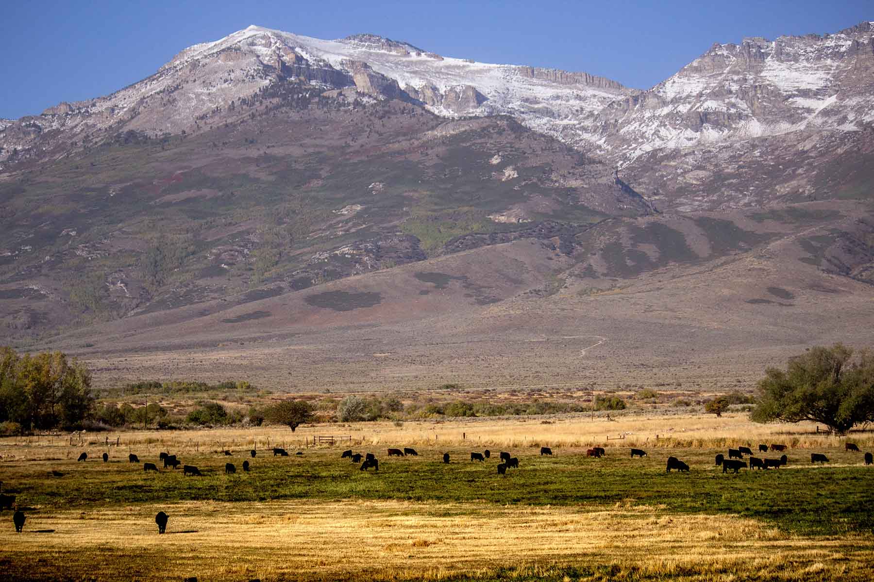 Clover Valley Ranch - Sold - Nevada - Hall and Hall