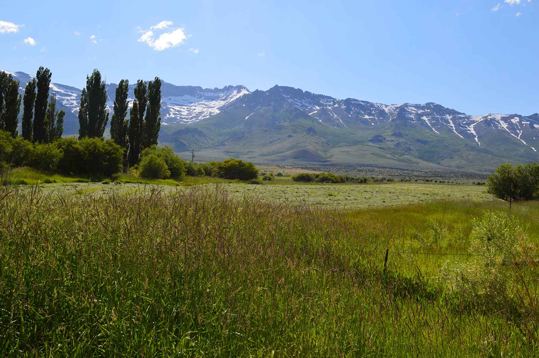 Clover Valley Ranch - Sold - Nevada - Hall and Hall