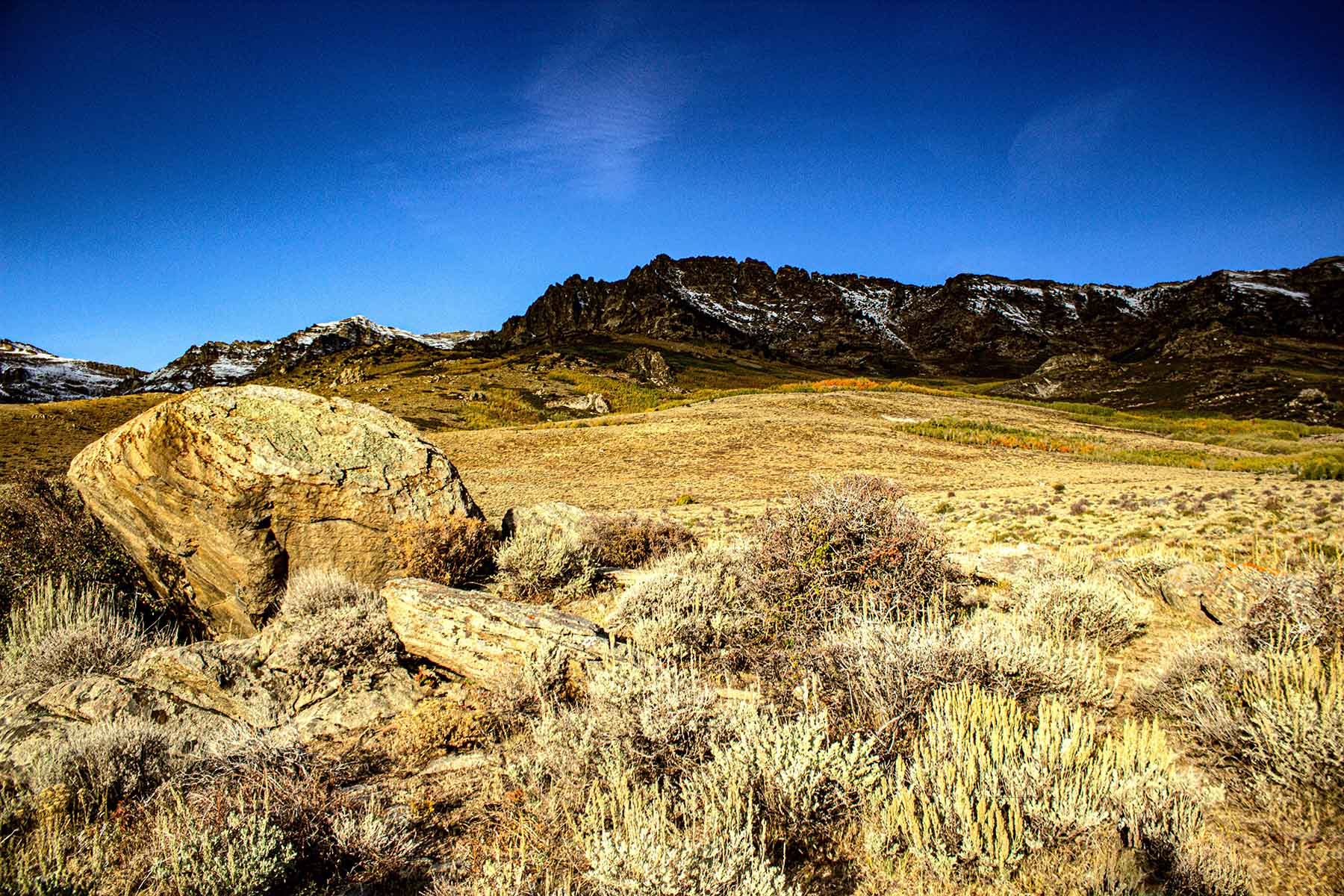 Clover Valley Ranch - Sold - Nevada - Hall and Hall