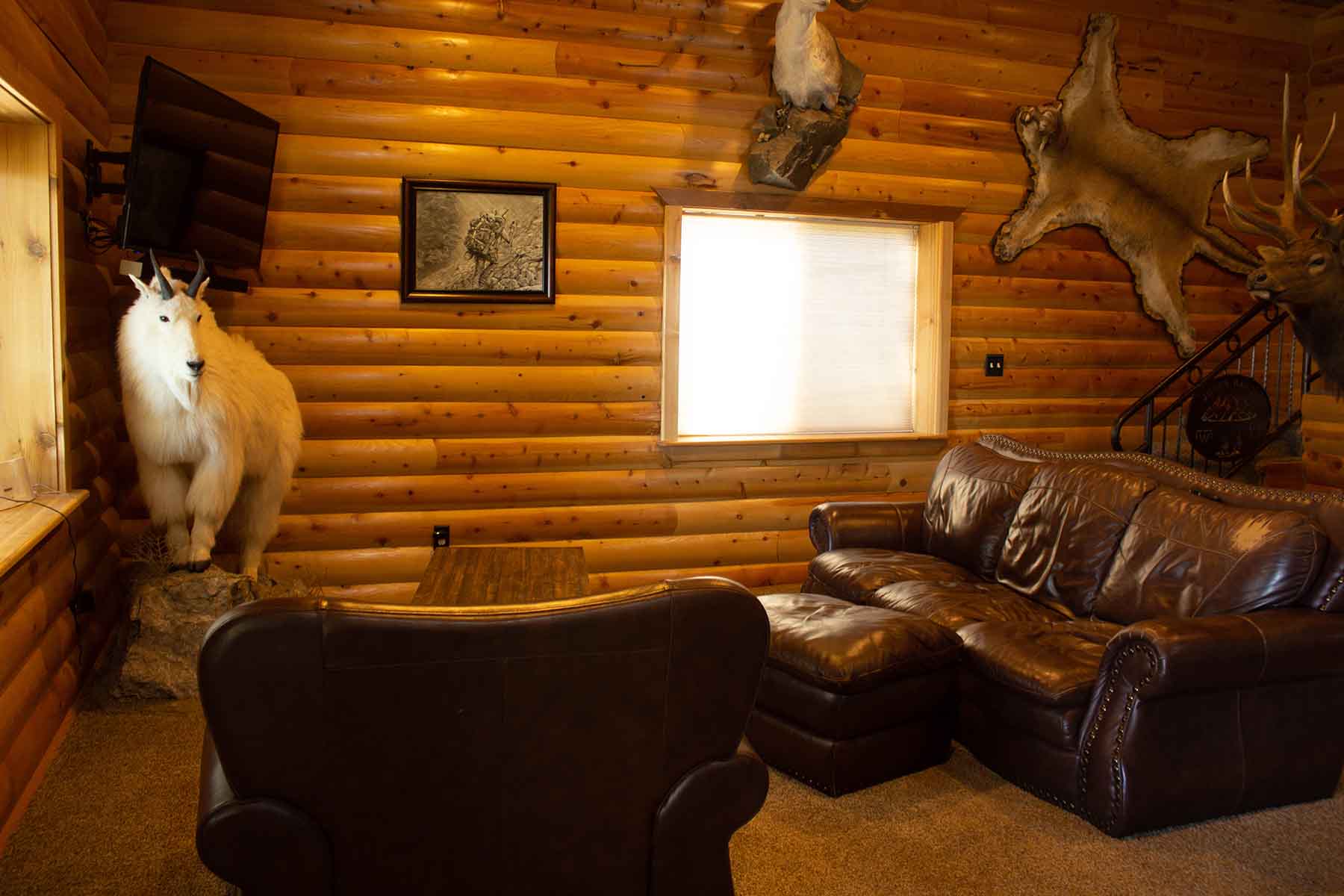 Clover Valley Ranch - Sold - Nevada - Hall and Hall