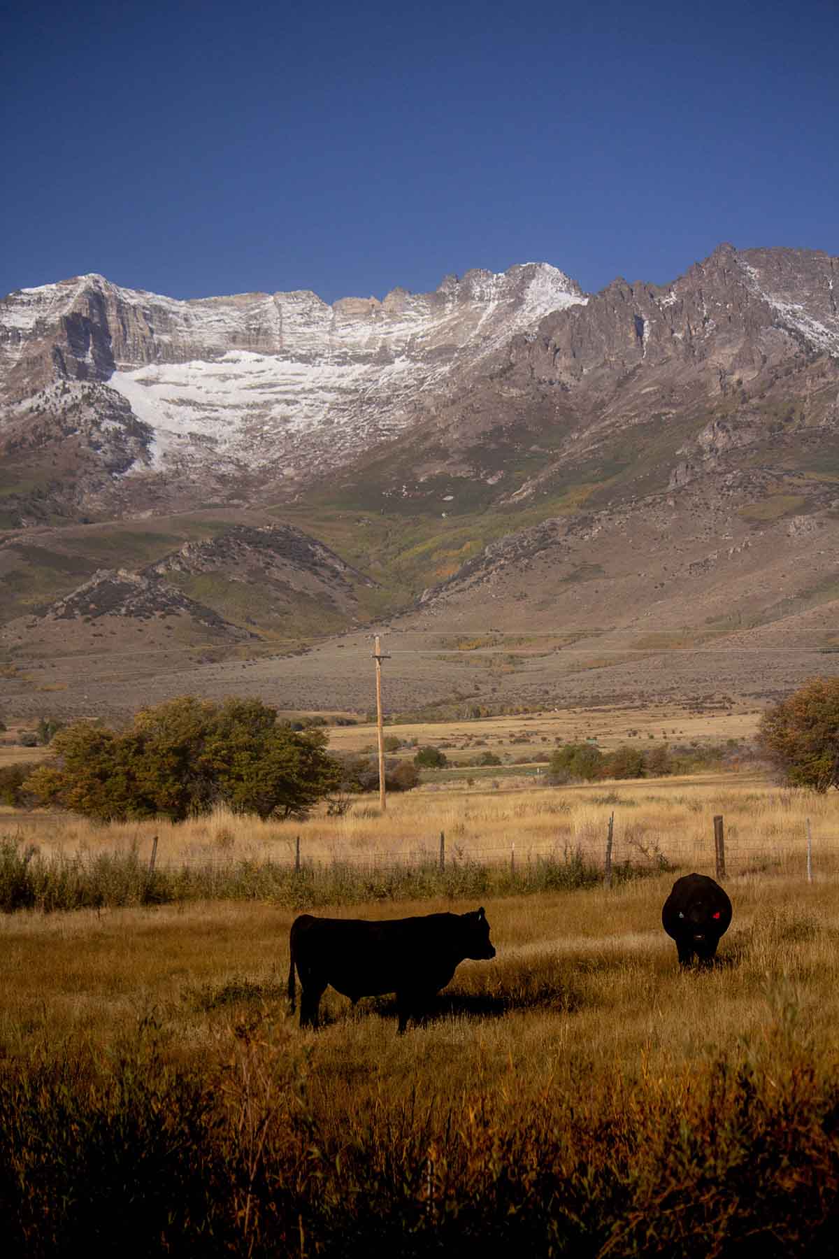 Clover Valley Ranch - Sold - Nevada - Hall and Hall