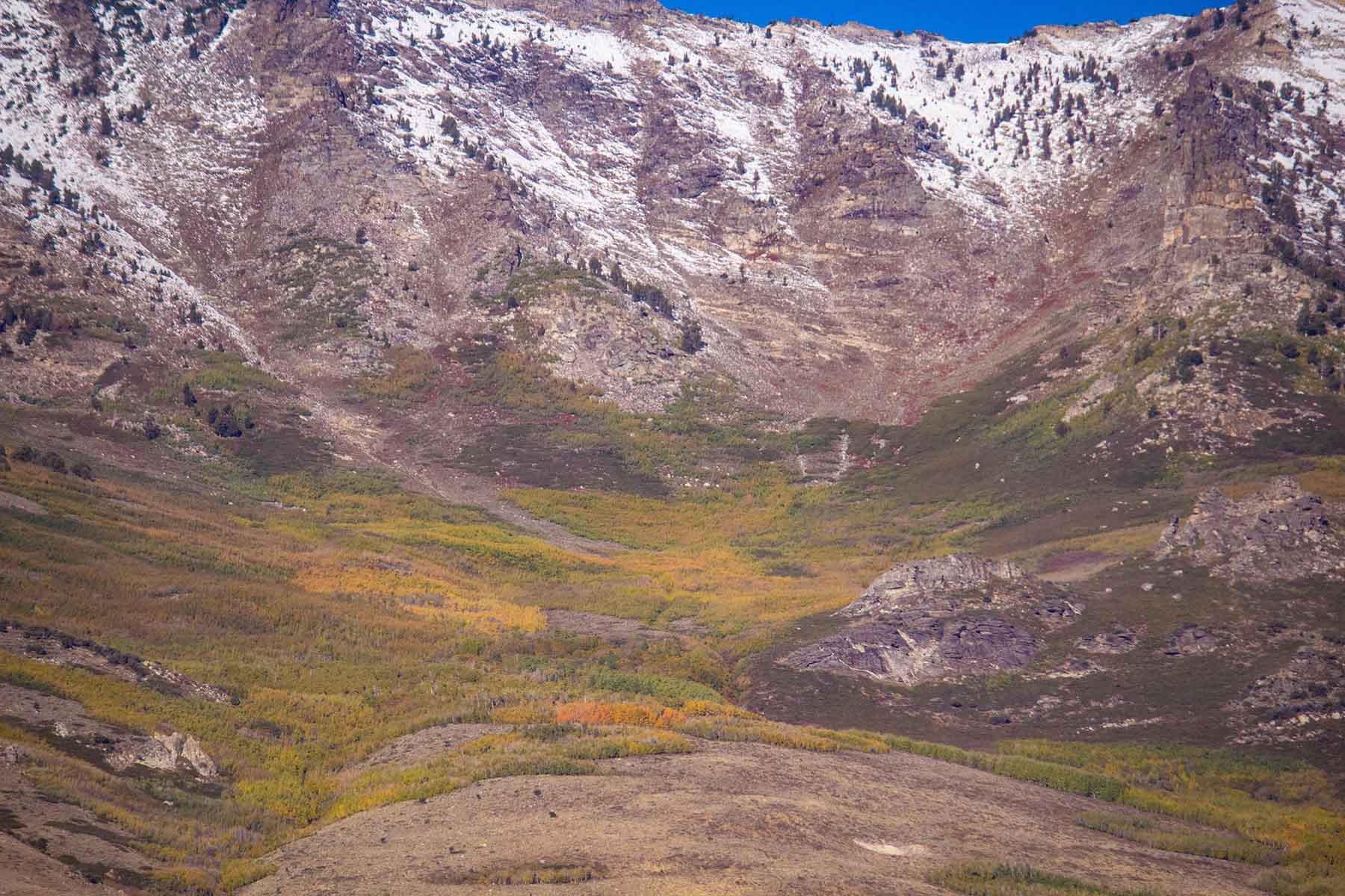 Clover Valley Ranch - Sold - Nevada - Hall and Hall