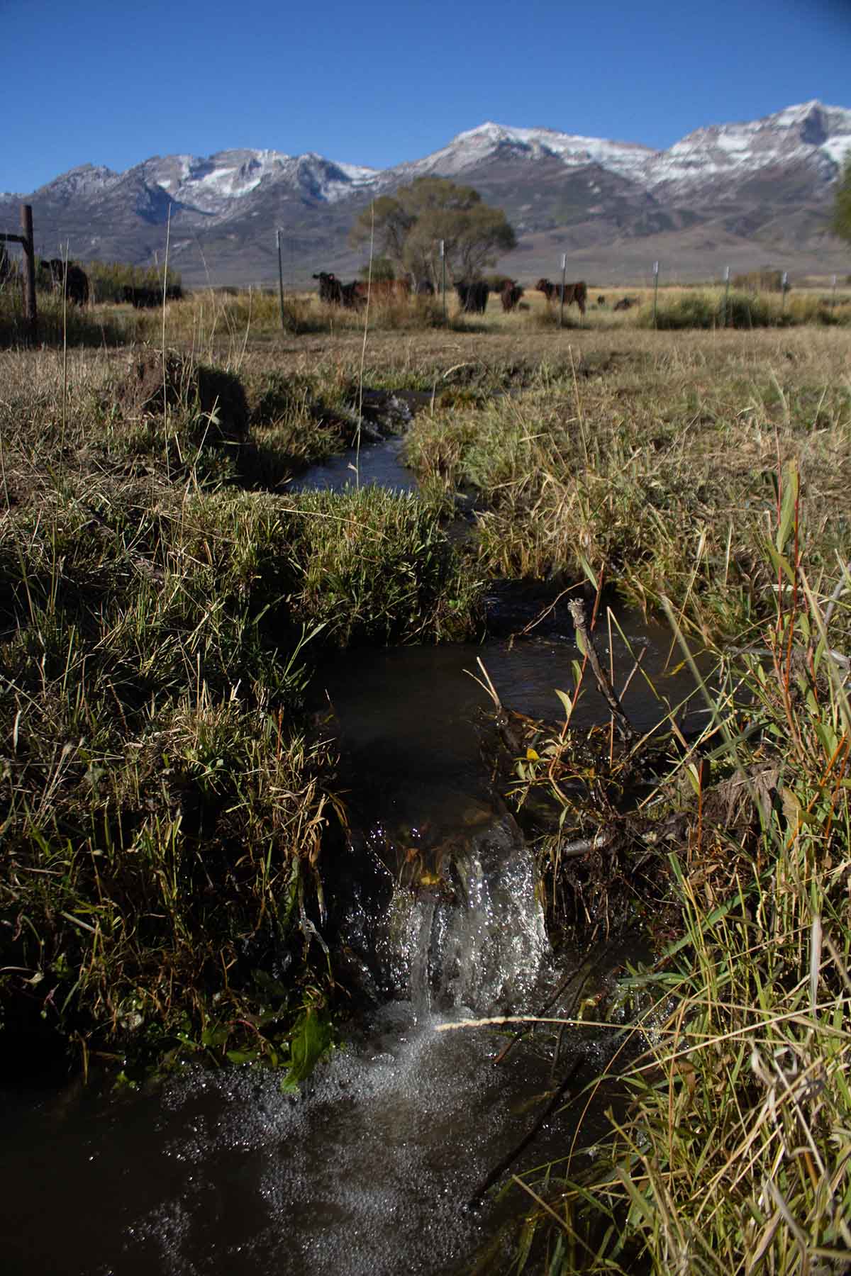 Clover Valley Ranch - Sold - Nevada - Hall and Hall