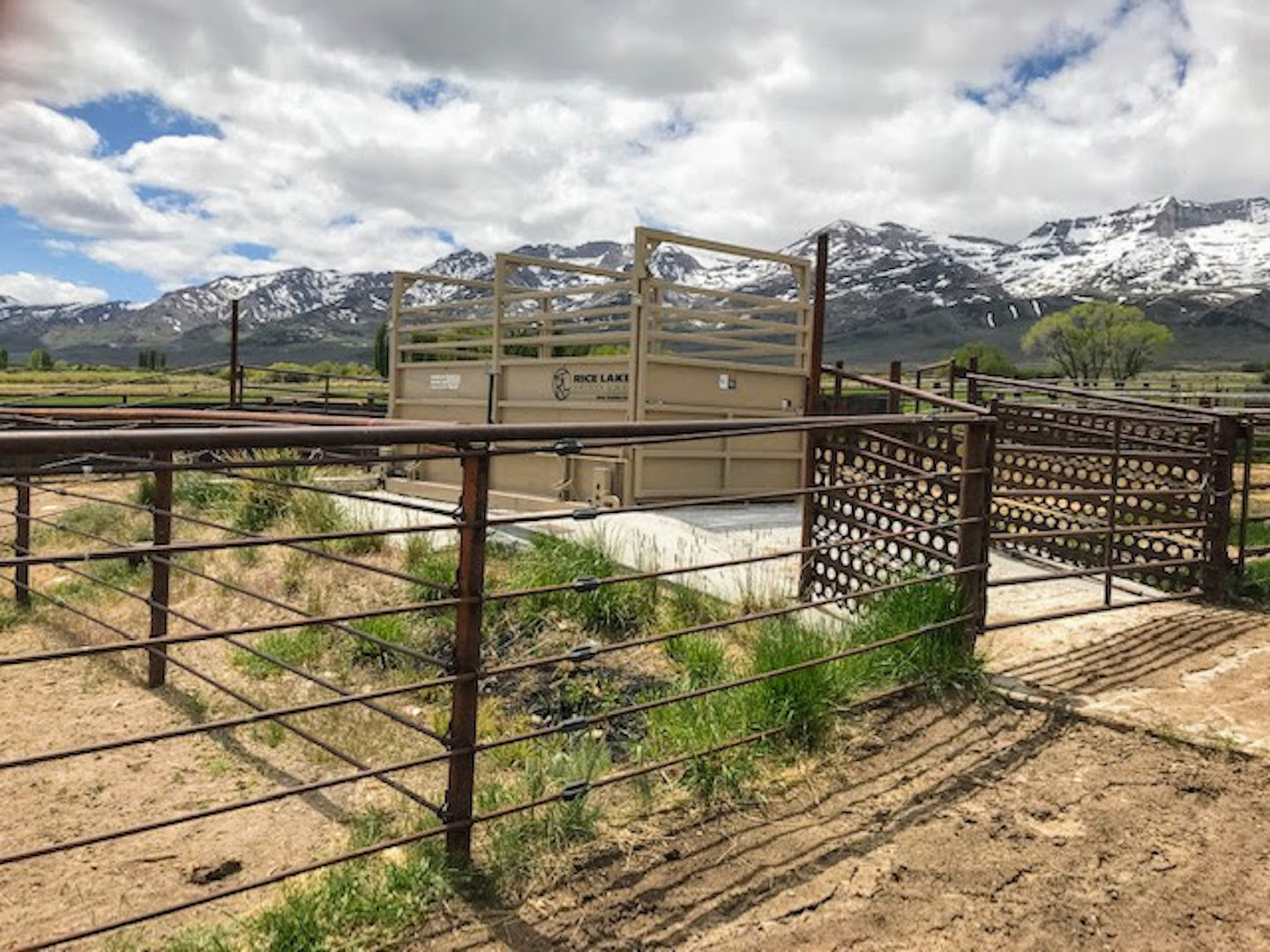 Clover Valley Ranch - Sold - Nevada - Hall and Hall