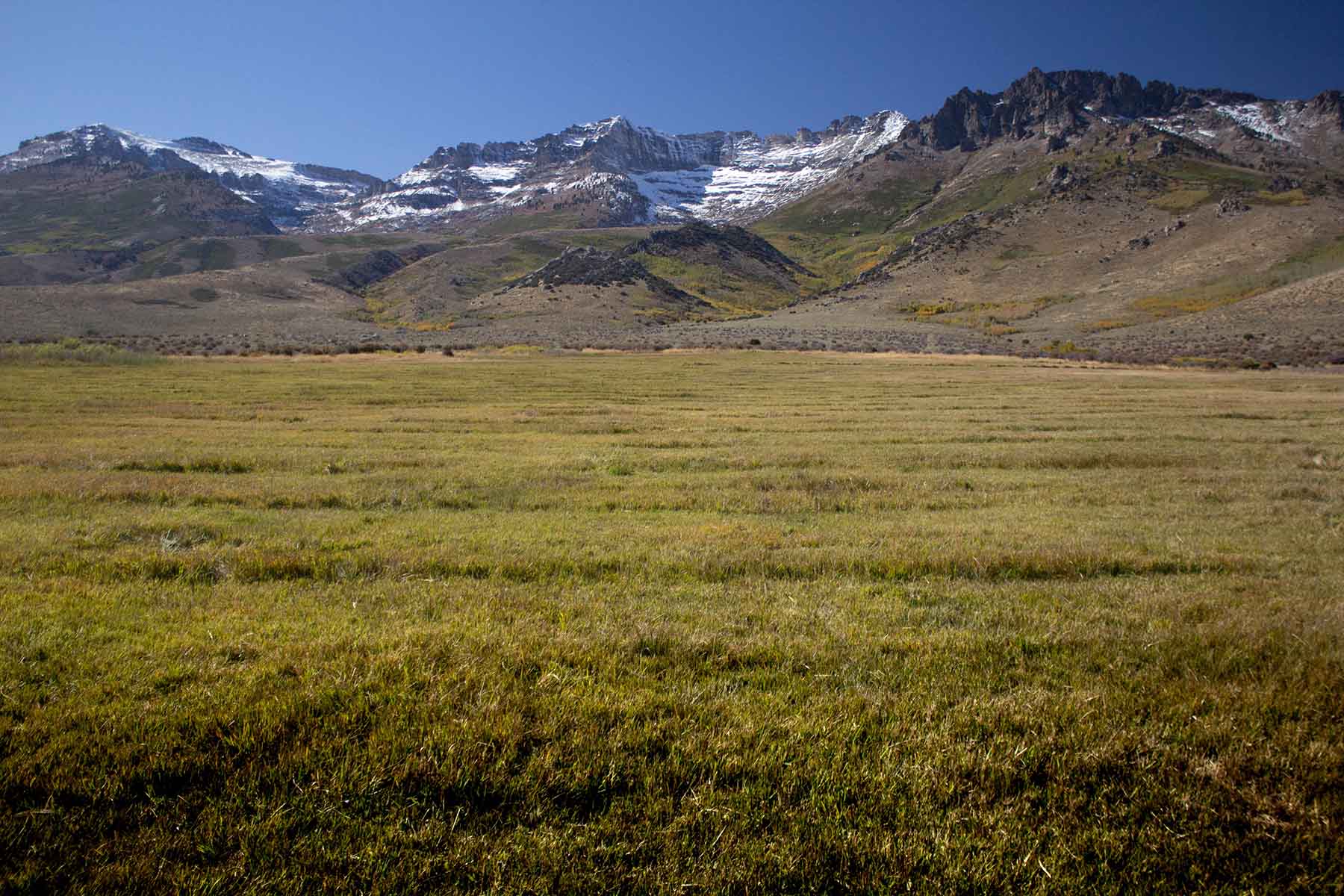 Clover Valley Ranch - Sold - Nevada - Hall and Hall