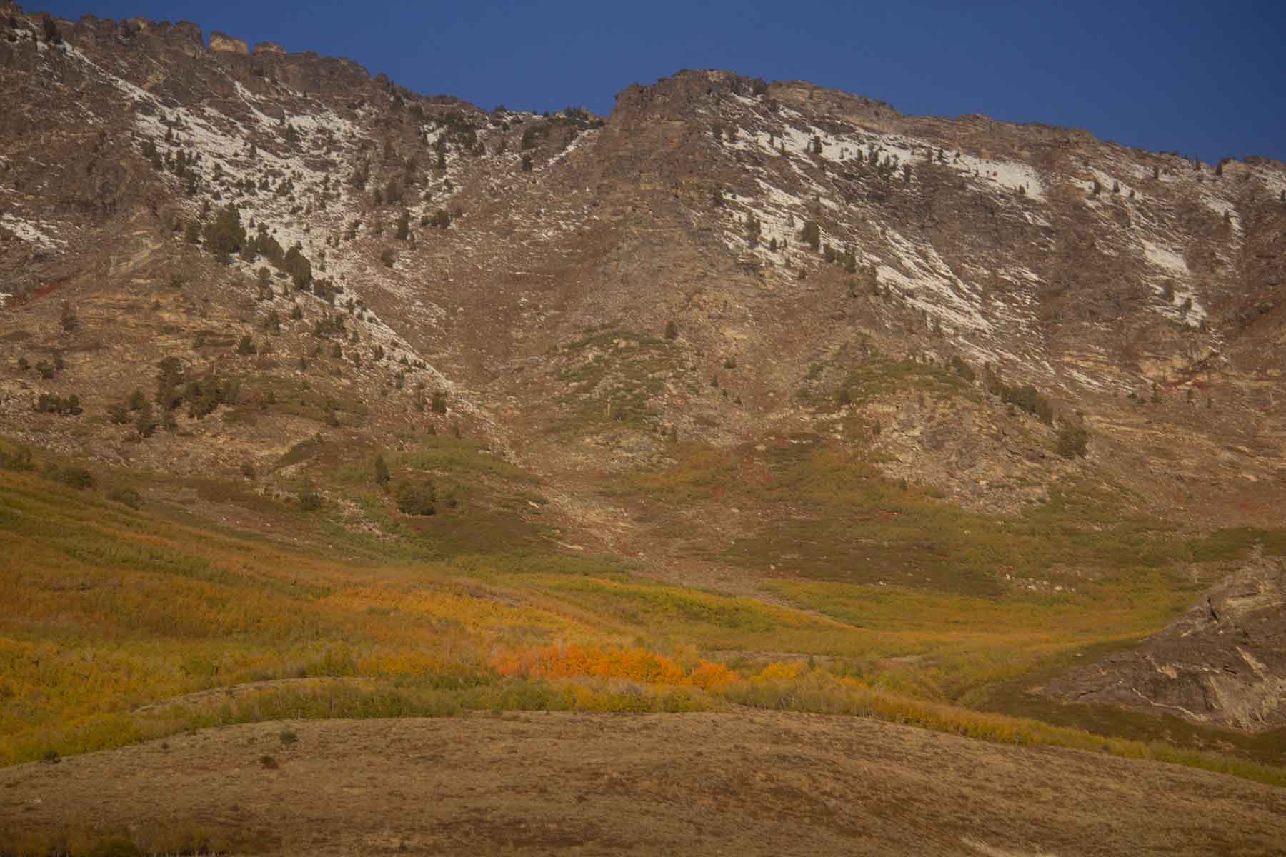 Clover Valley Ranch - Sold - Nevada - Hall and Hall